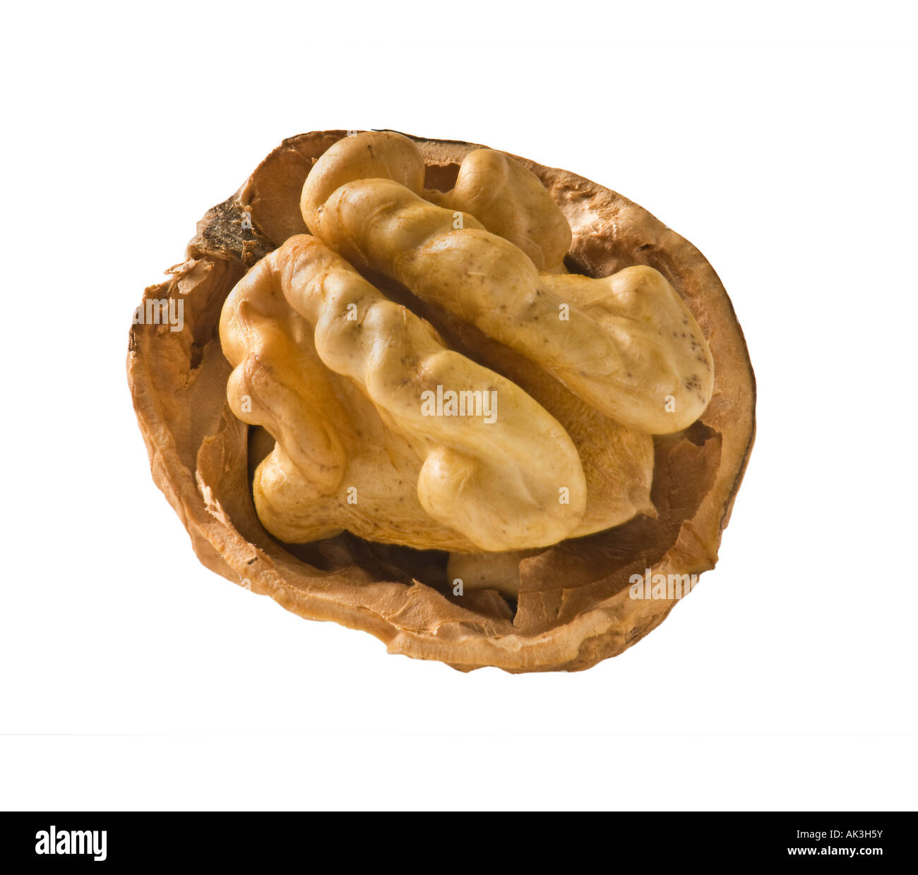 nut wal walnut single half opened fruit core FOOD nutshell wood wooden ...