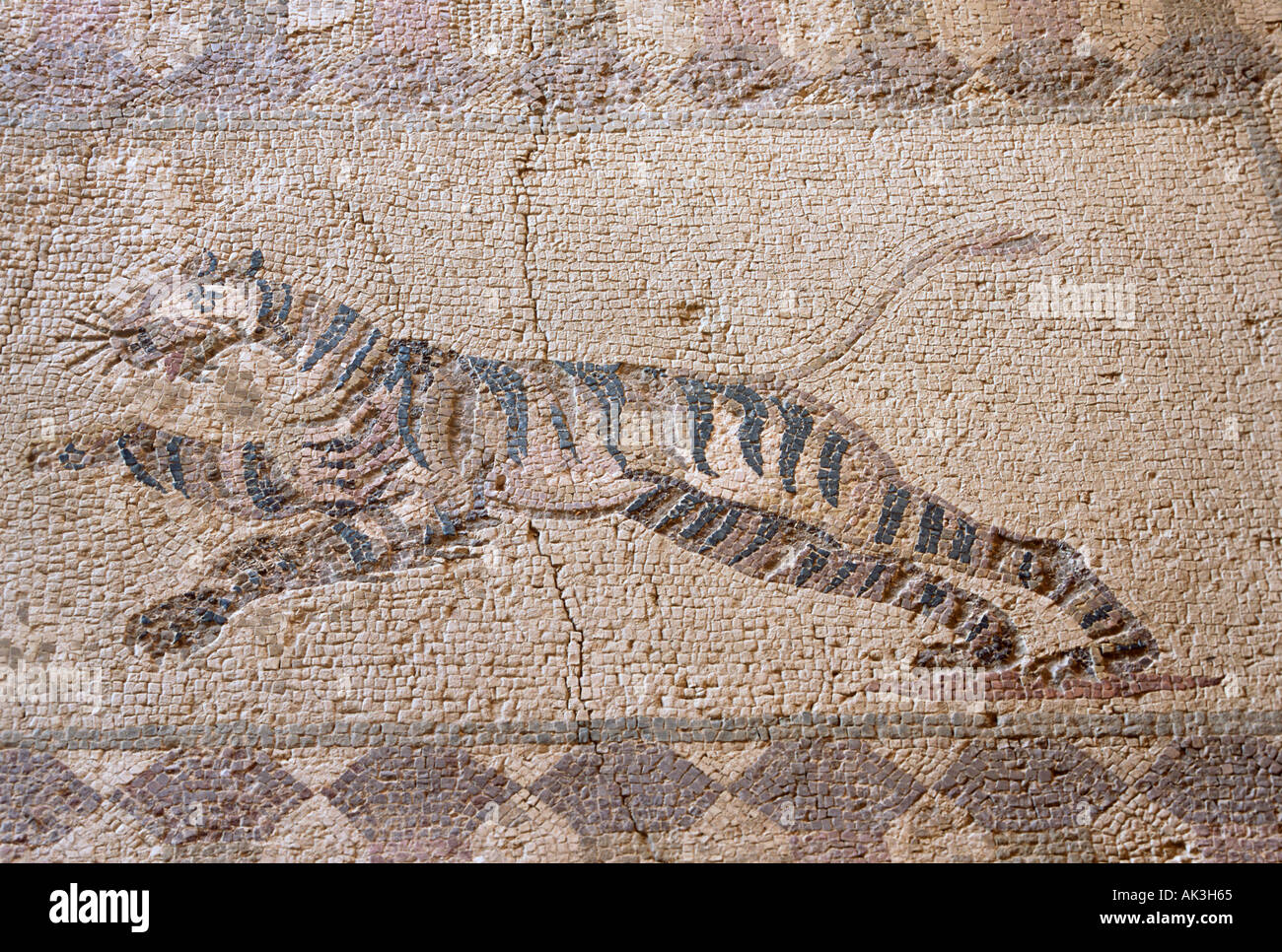 Mosaic of Tiger in the 2nd 4th century A D Roman Villa of Dionysos at ...