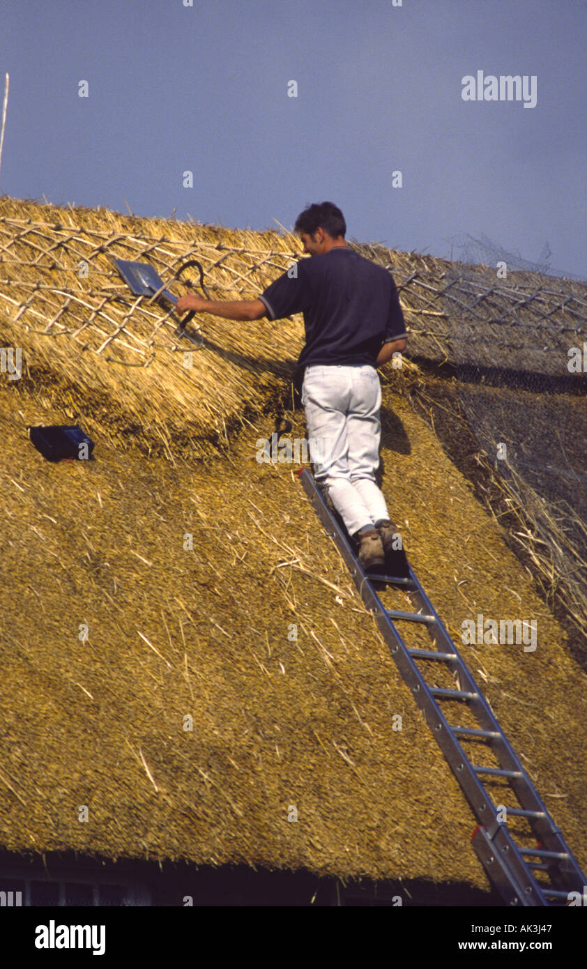 Roof Thatcher at Work Stock Photo - Alamy