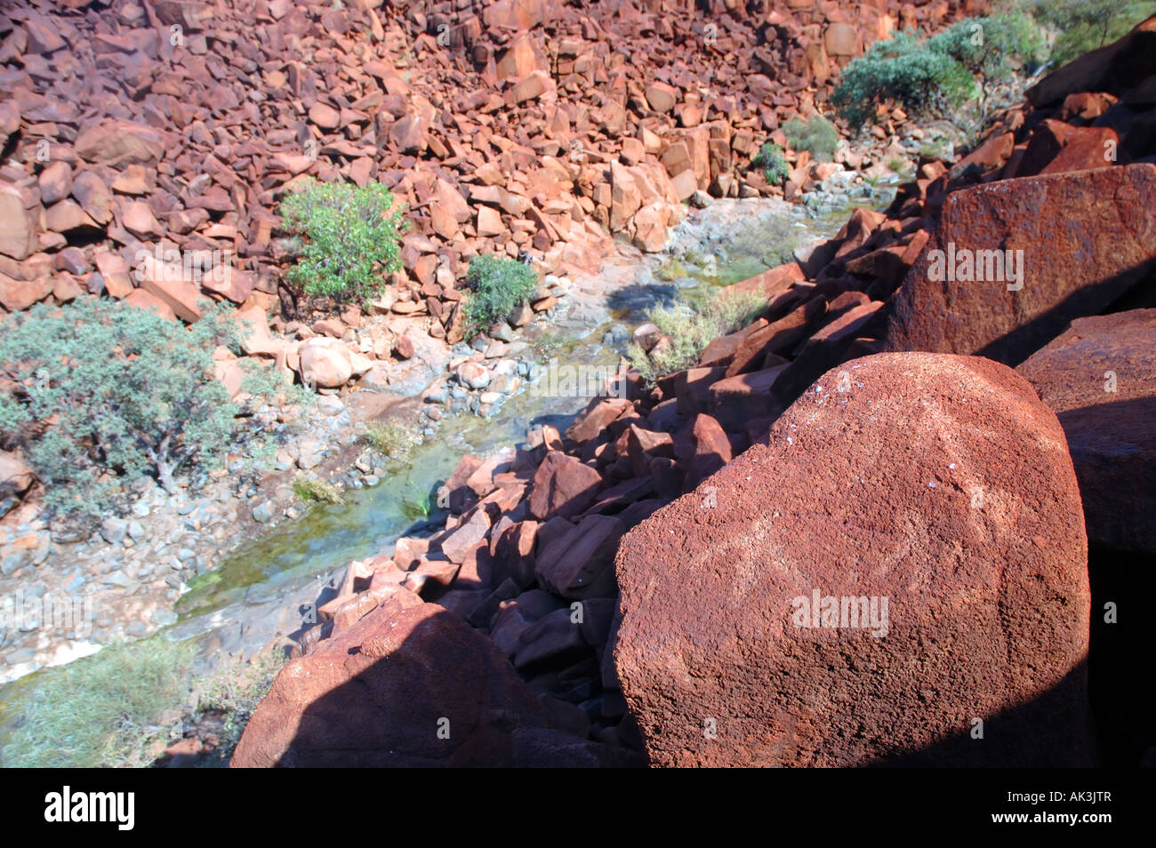 Emu tracks hi-res stock photography and images - Alamy