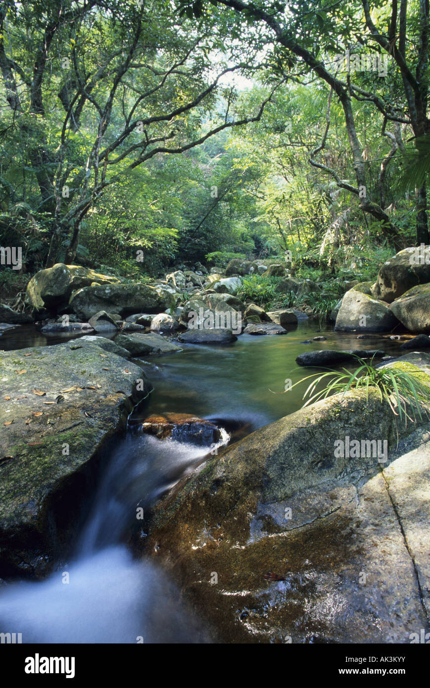 Tai po kau nature reserve hi-res stock photography and images - Alamy