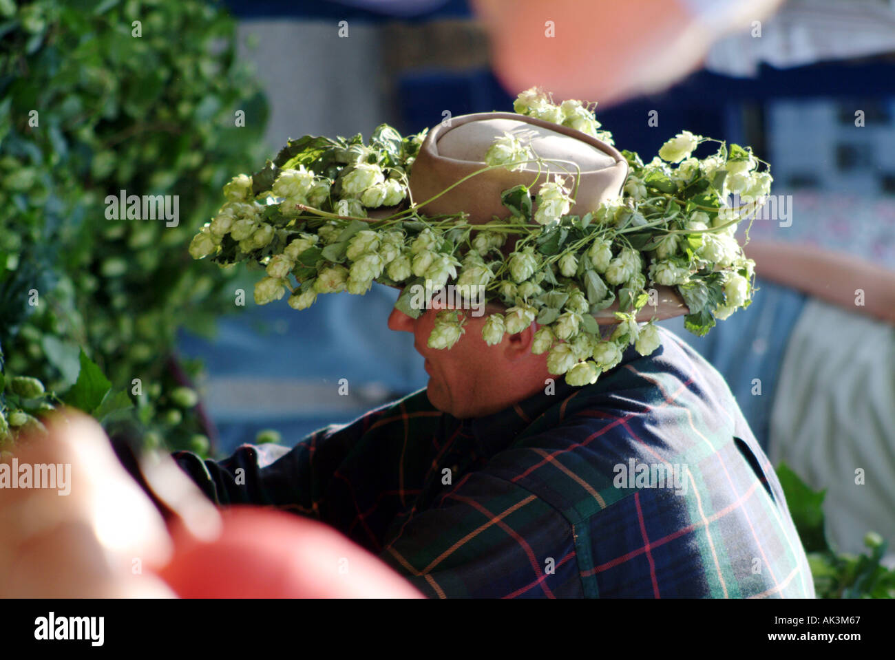 Traditional hop festival hi-res stock photography and images - Alamy