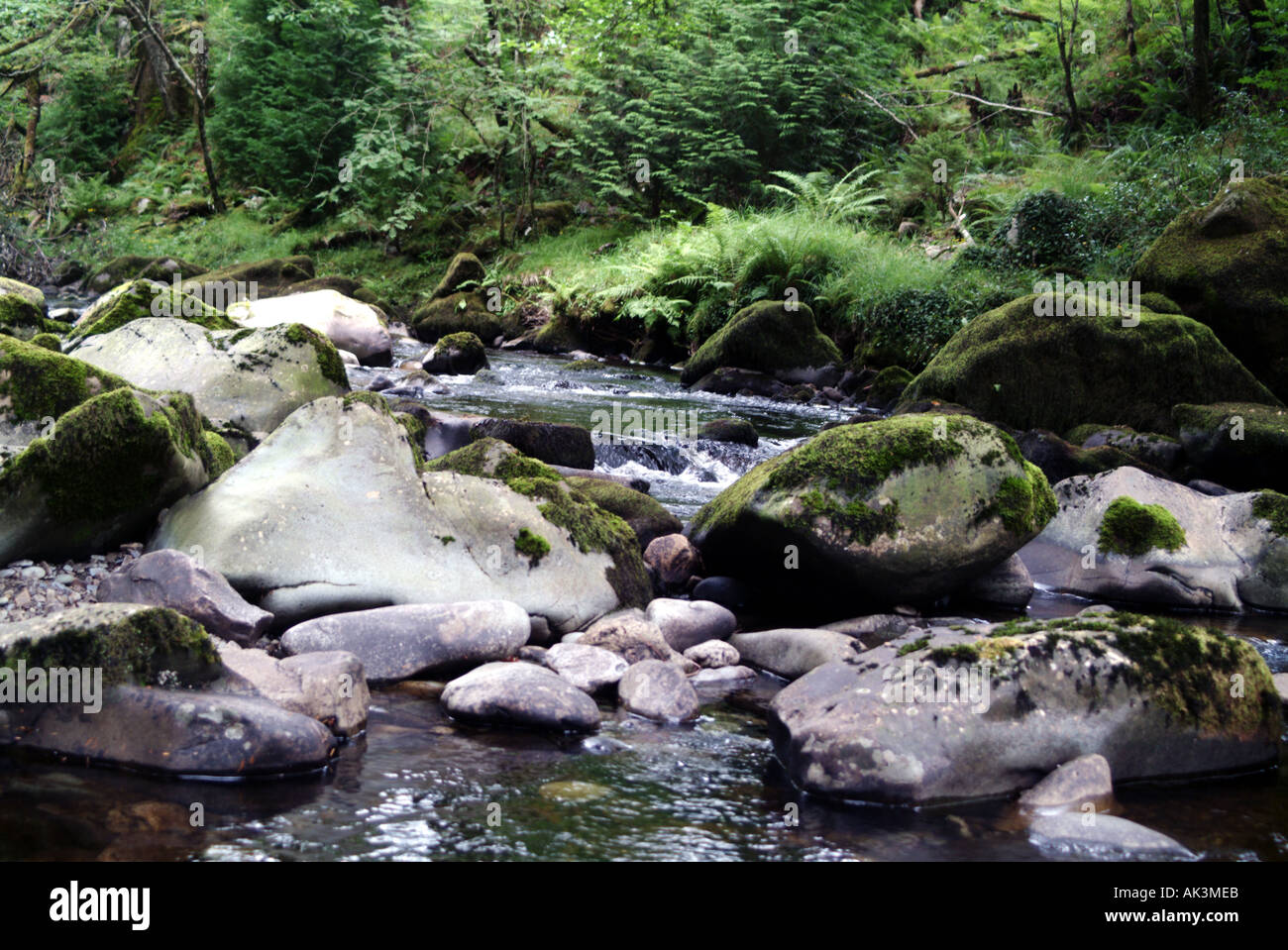 Renew water hi-res stock photography and images - Alamy