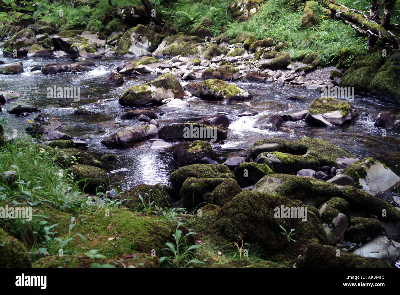 Stream fresh clear water hi-res stock photography and images - Alamy