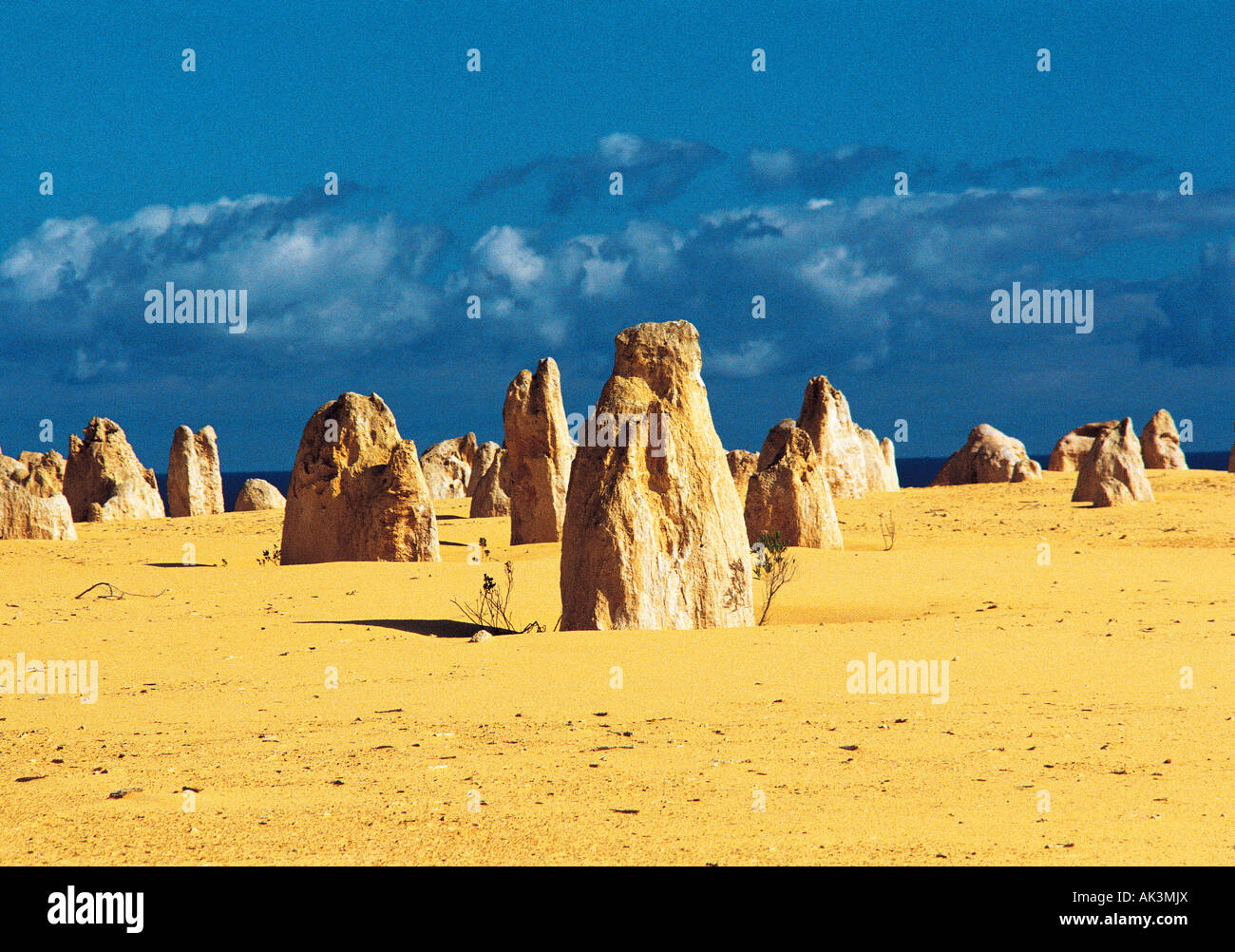 Western Australia. New Norcia region. The Pinnacles rock formations ...