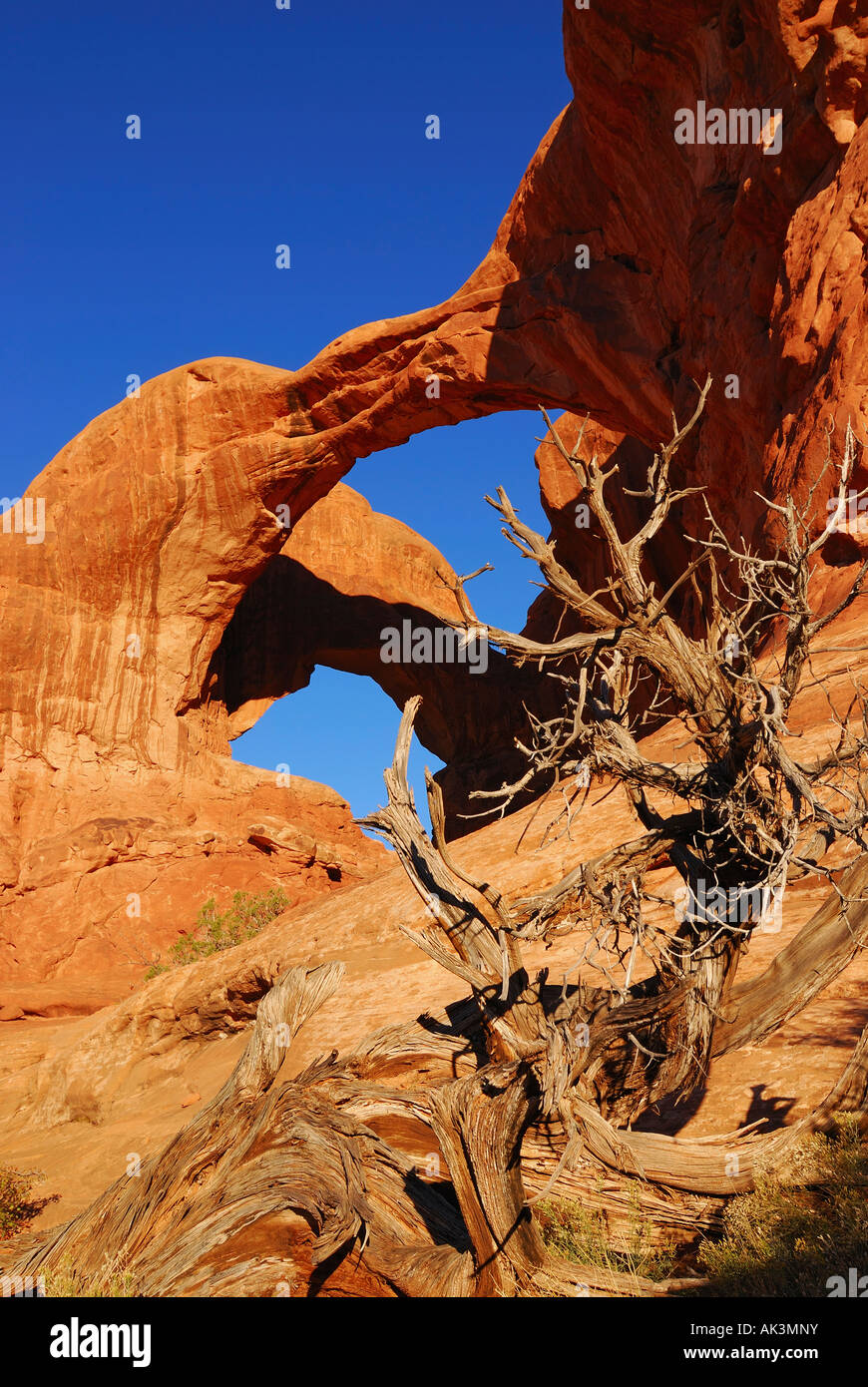 Arches National Park near Moab Utah - Double Arch Sunrise Stock Photo ...