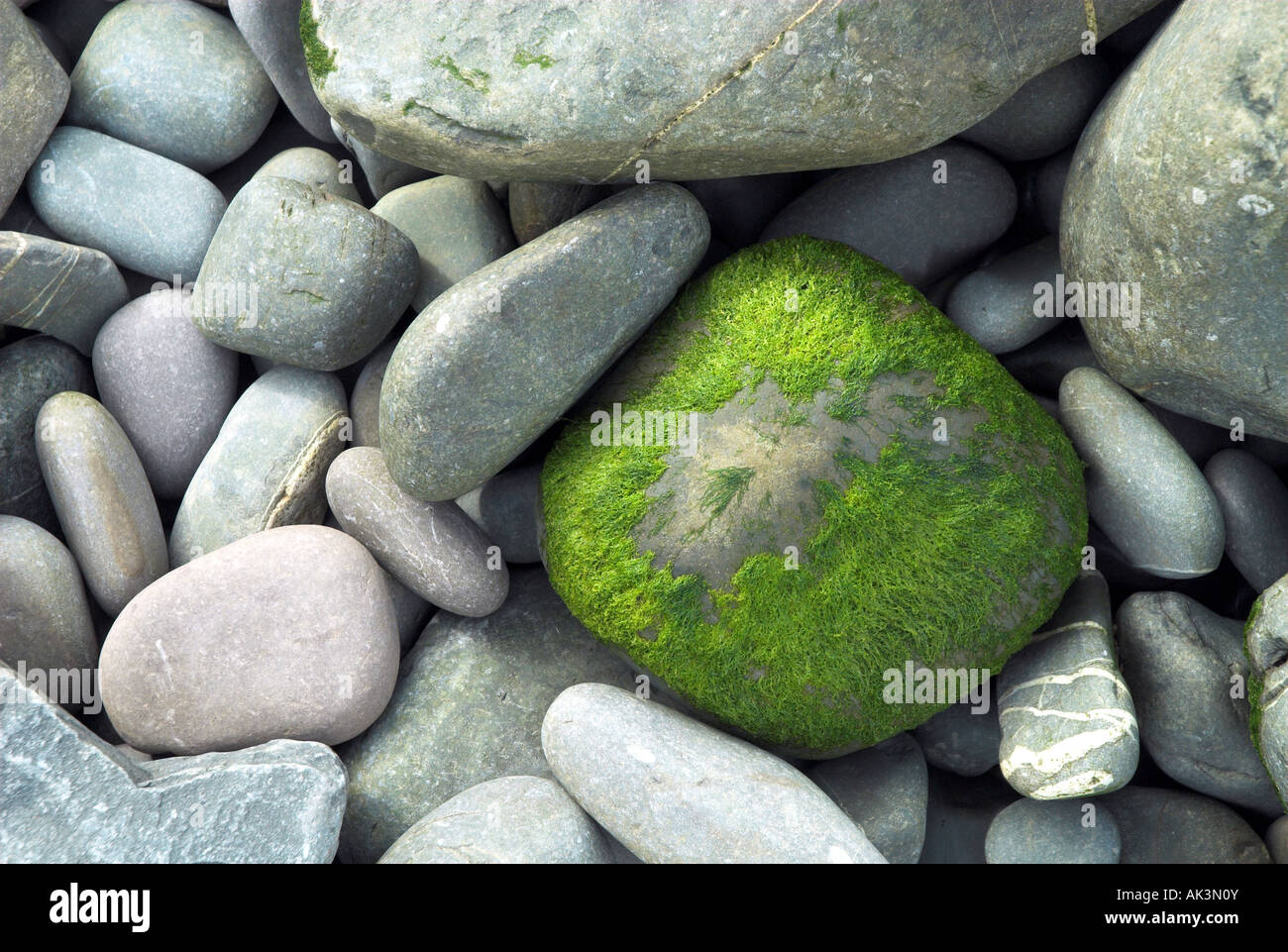 Multi coloured shingle hi-res stock photography and images - Alamy