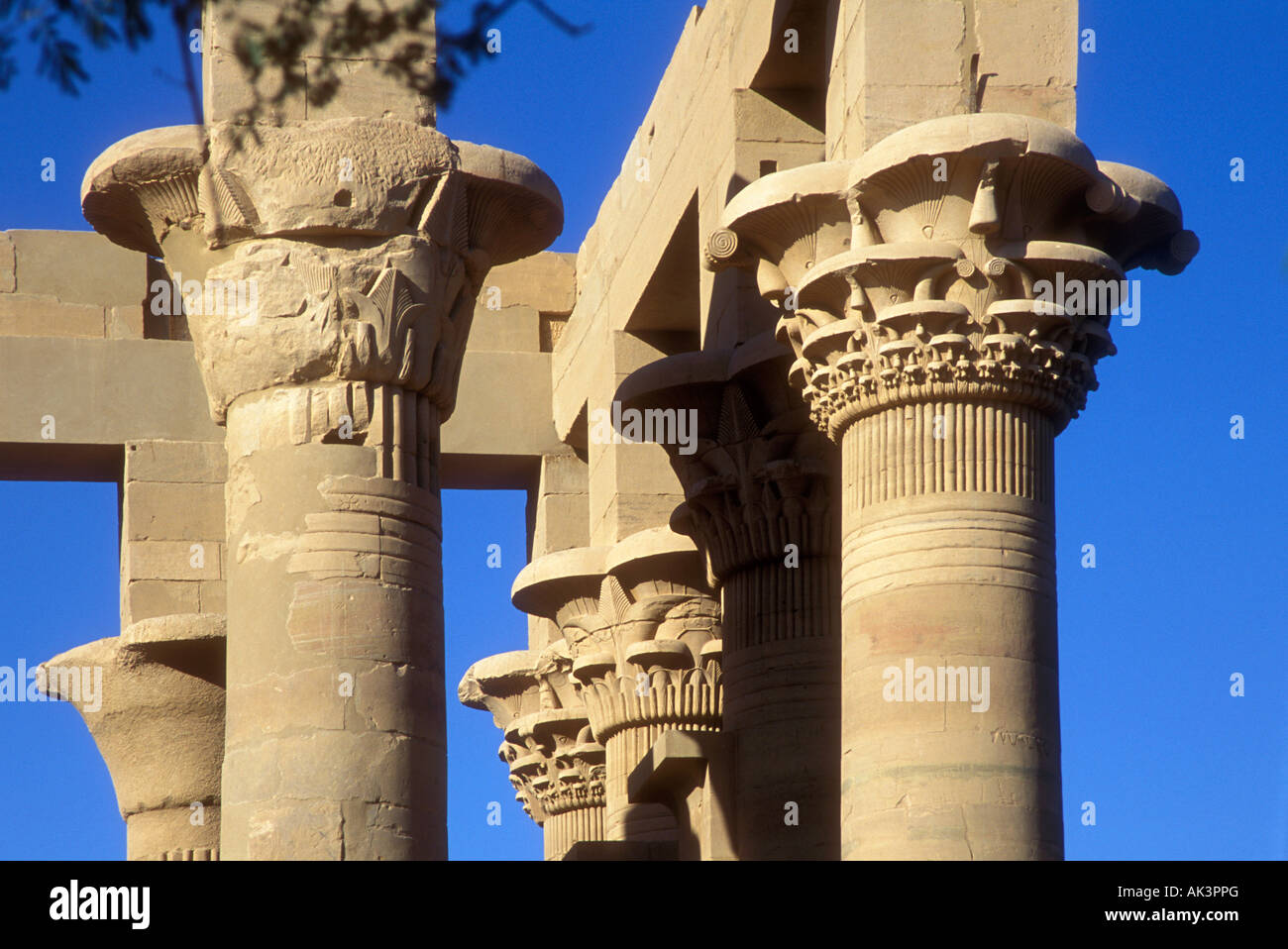 Hathor pillars hi-res stock photography and images - Alamy