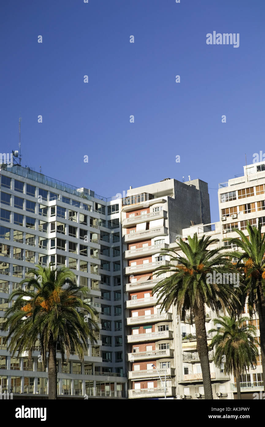 Montevideo, Uruguay, downtown buildings and palm trees bordering the ...