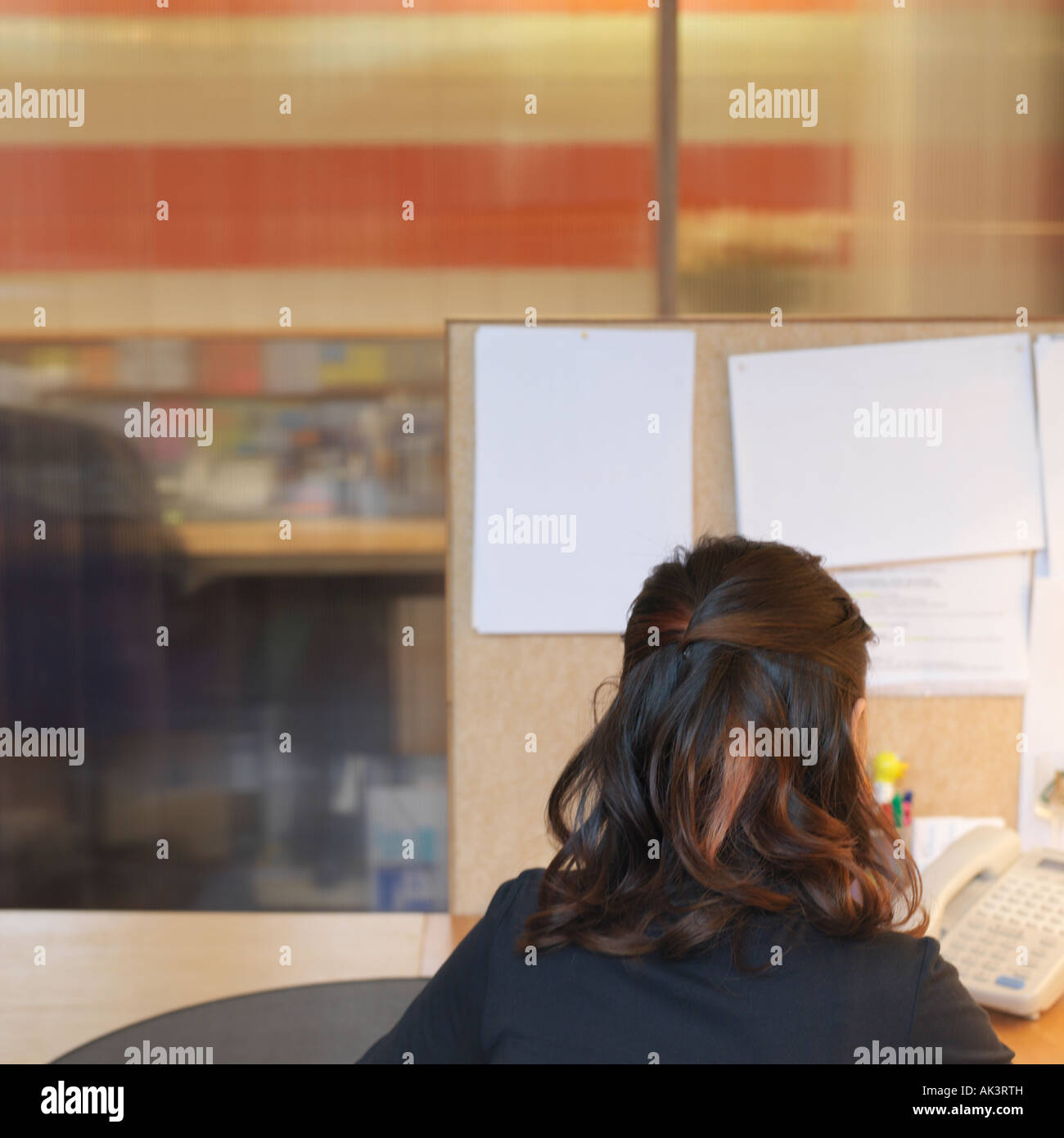 Businesswoman in office, rear view Stock Photo - Alamy