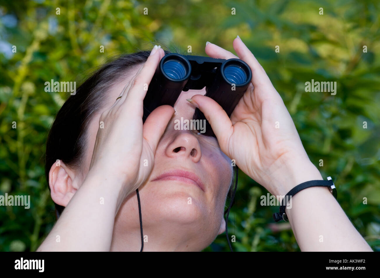 Female bird watcher uk hi-res stock photography and images - Alamy