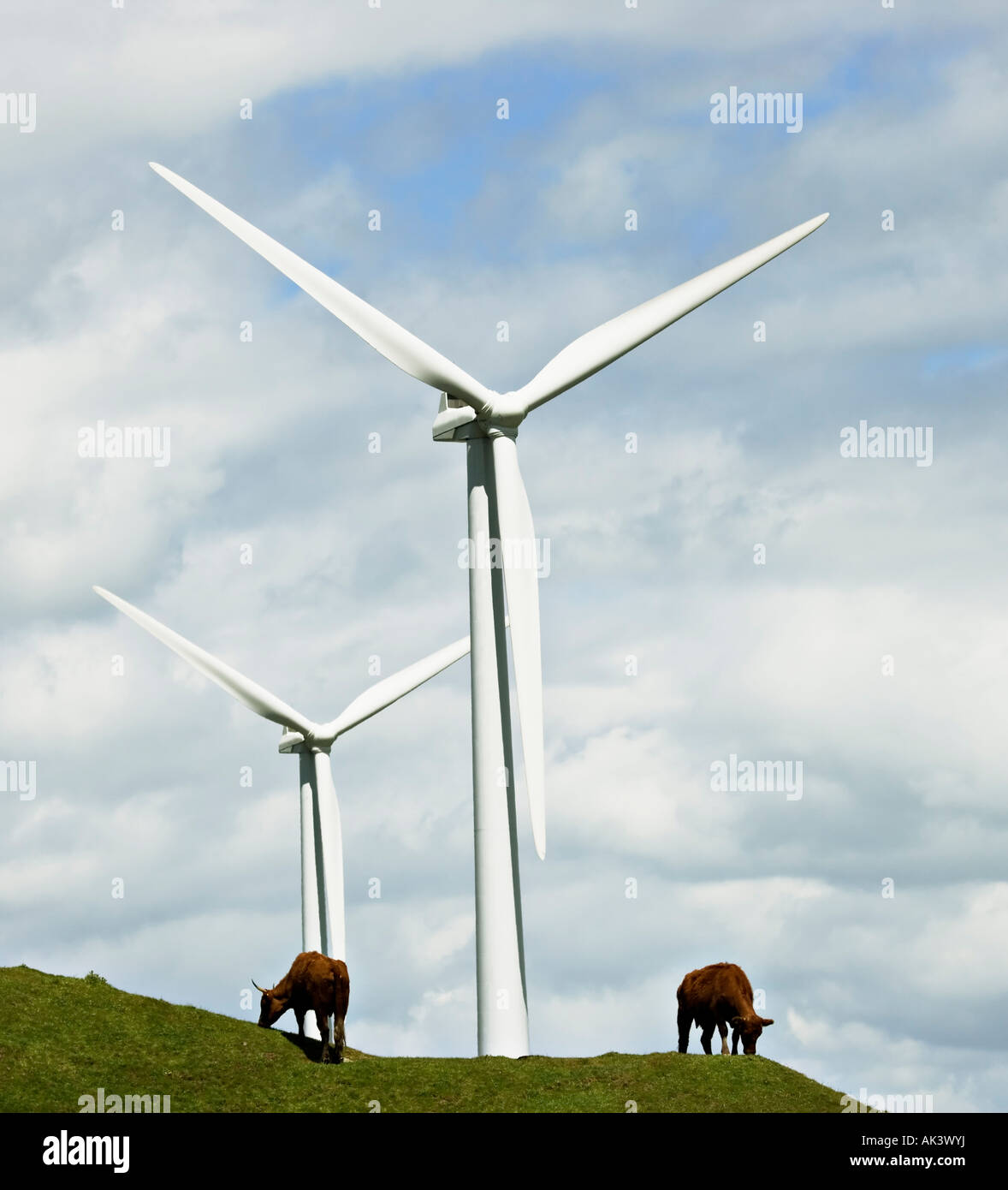 Land generation hi-res stock photography and images - Alamy