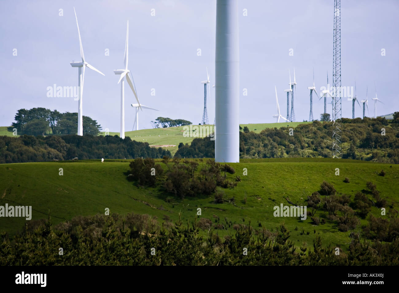 Apiti wind hi-res stock photography and images - Alamy