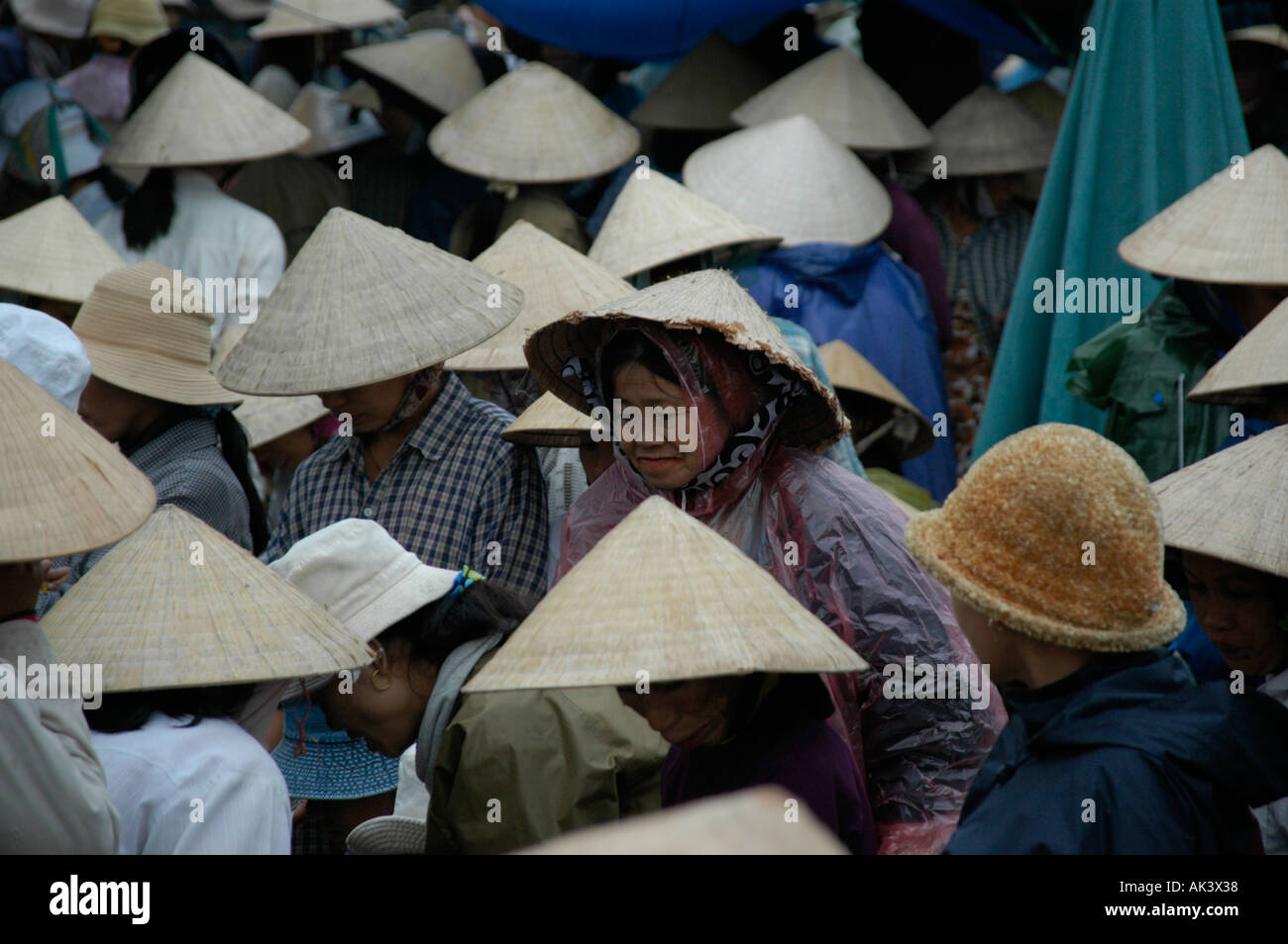Many women wearing cone shaped hats at the fish market Hoi An Vietnam ...