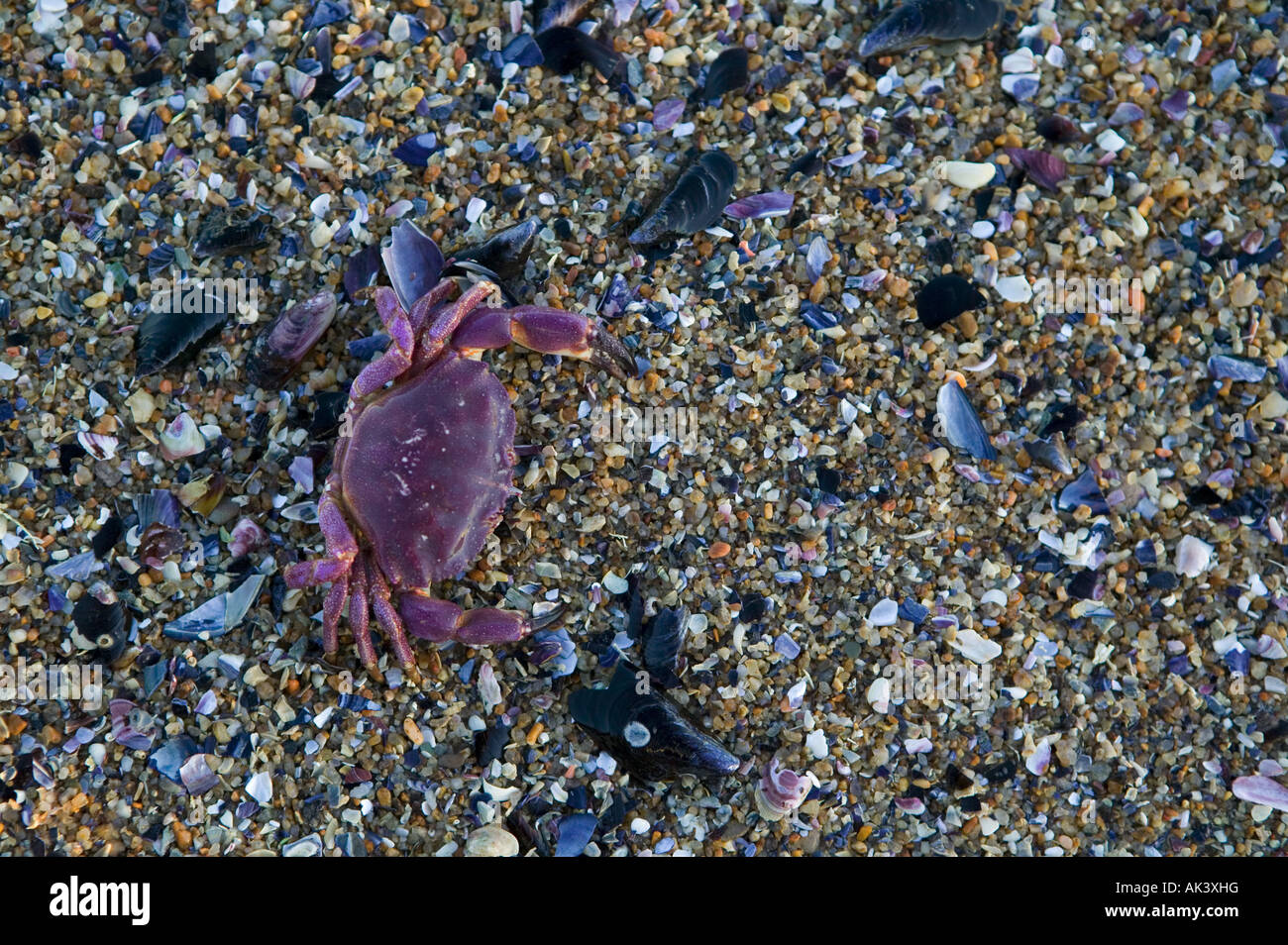 Solari beach hi-res stock photography and images - Alamy
