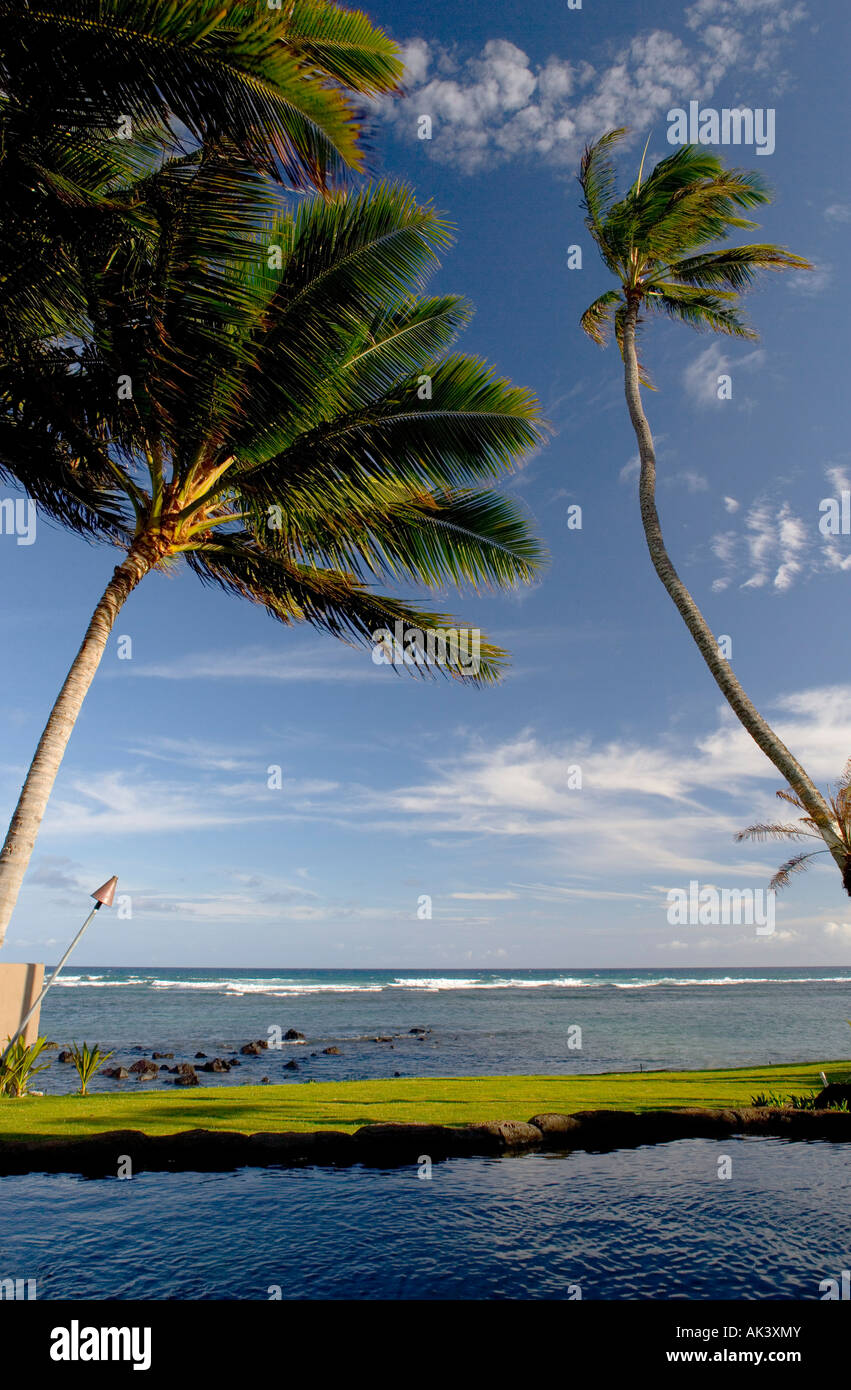 Backyard Swimming Pool Next to Ocean Stock Photo - Alamy