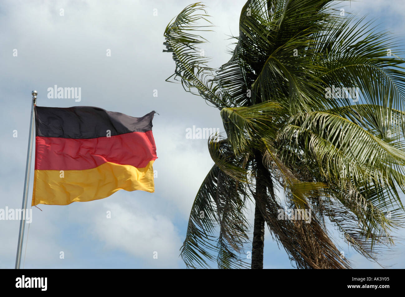 Symbolic picture German national flag wafting close to a palm tree ...