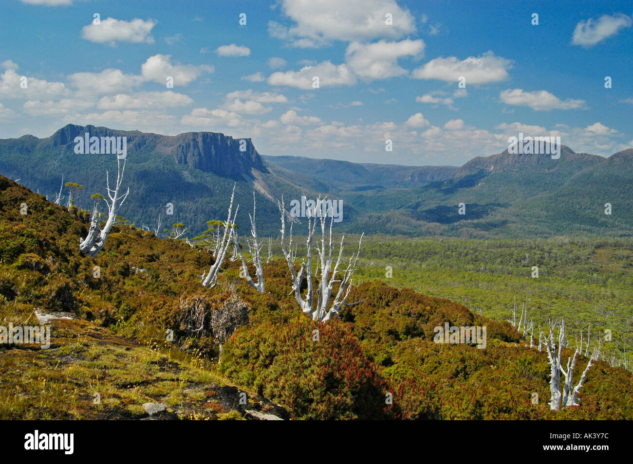 view of Mt Pelion West from Overland Track in Cradle Mountain Lake St ...