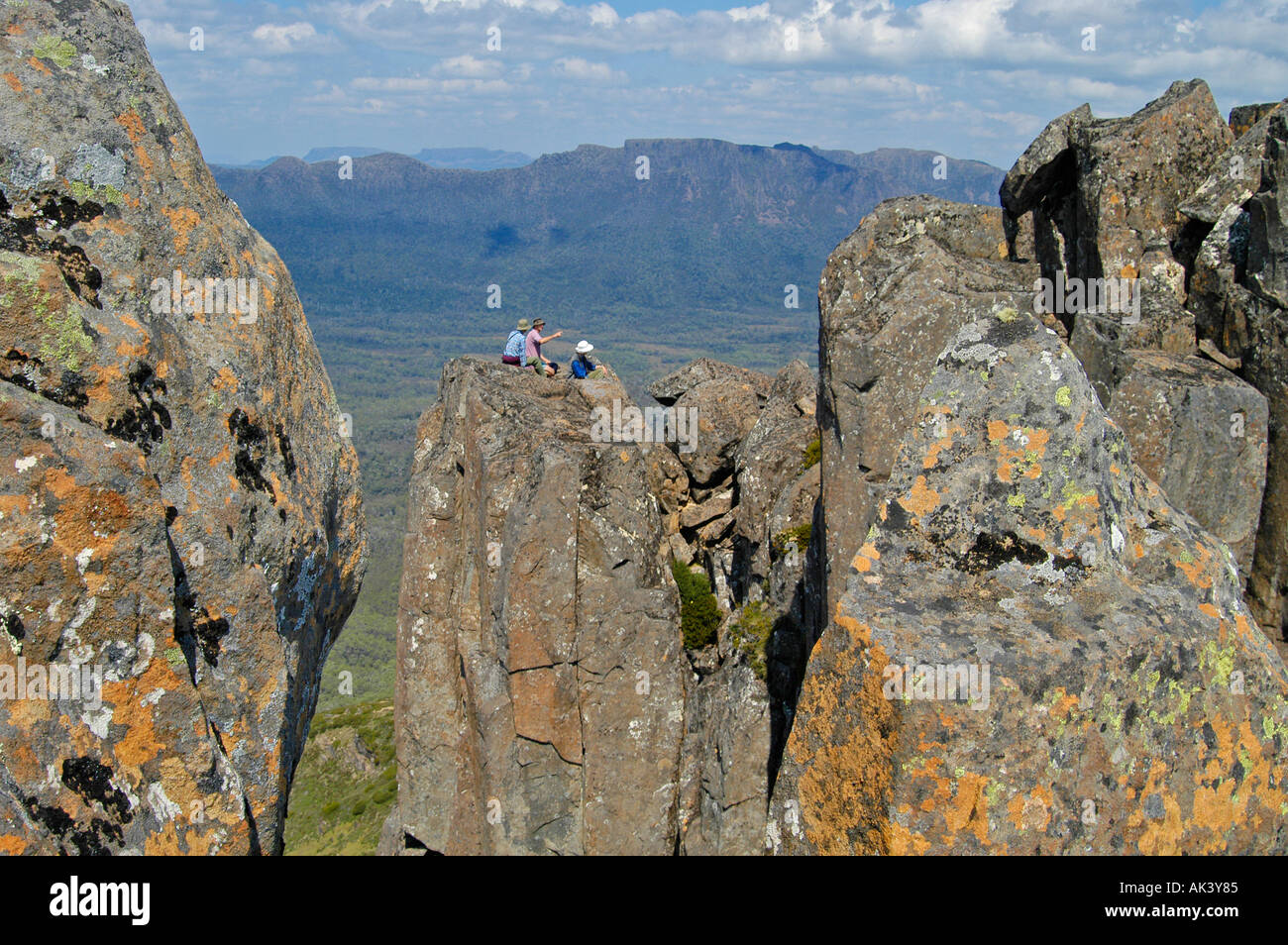 hikers on rocky summit of Mt Pelion East on Overland Track in Cradle ...