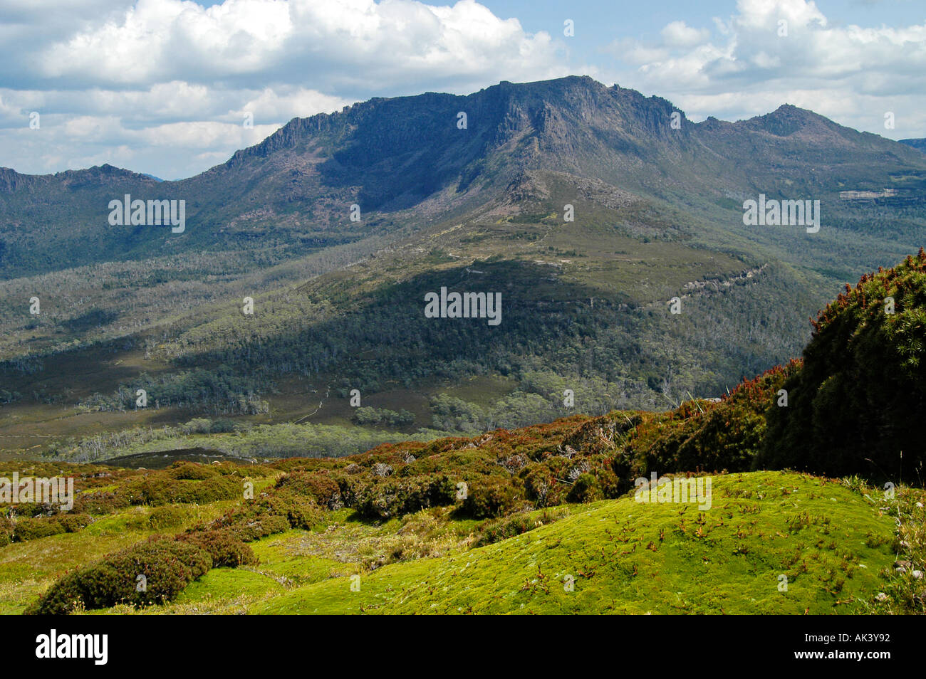 Mt Ossa seen from Mt Pelion East Overland Track in Cradle Mountain Lake ...