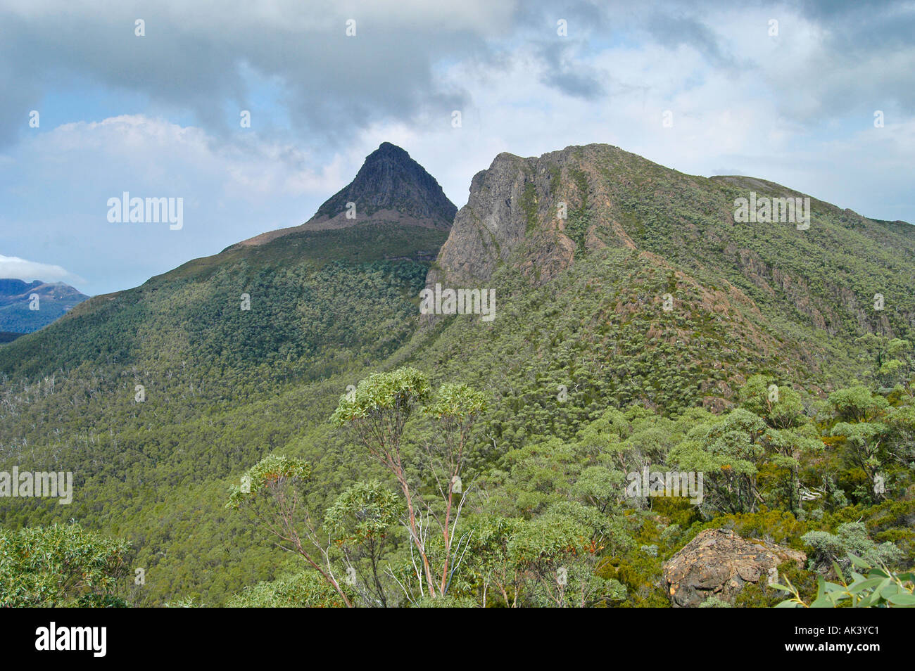 Mt Gould seen from The Labyrinth near Pine Valley on Overland Track in ...
