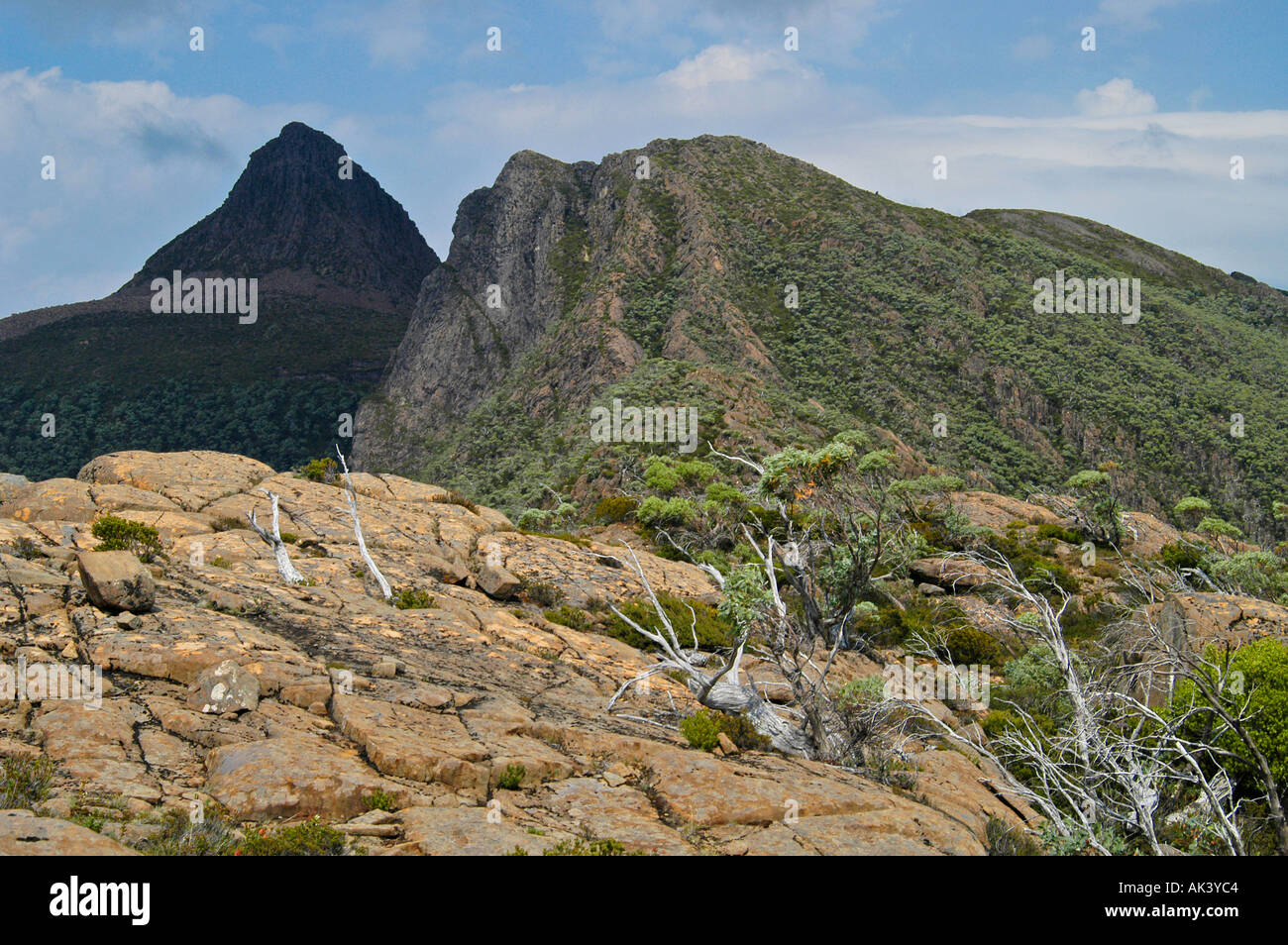 Mt Gould and The Labyrinth near Pine Valley on Overland Track in Cradle ...