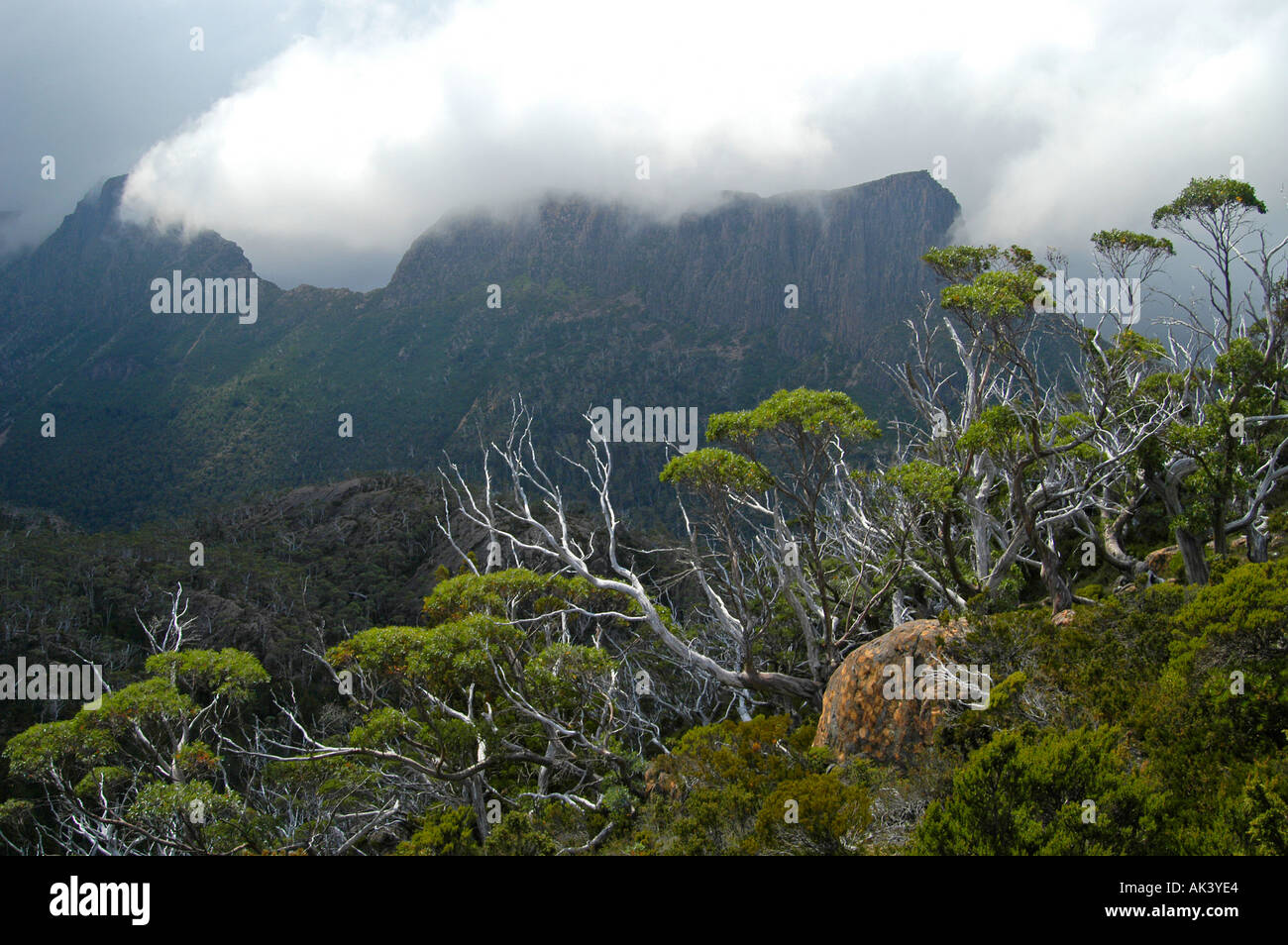 The Acropolis seen from The Labyrinth near Pine Valley on Overland ...