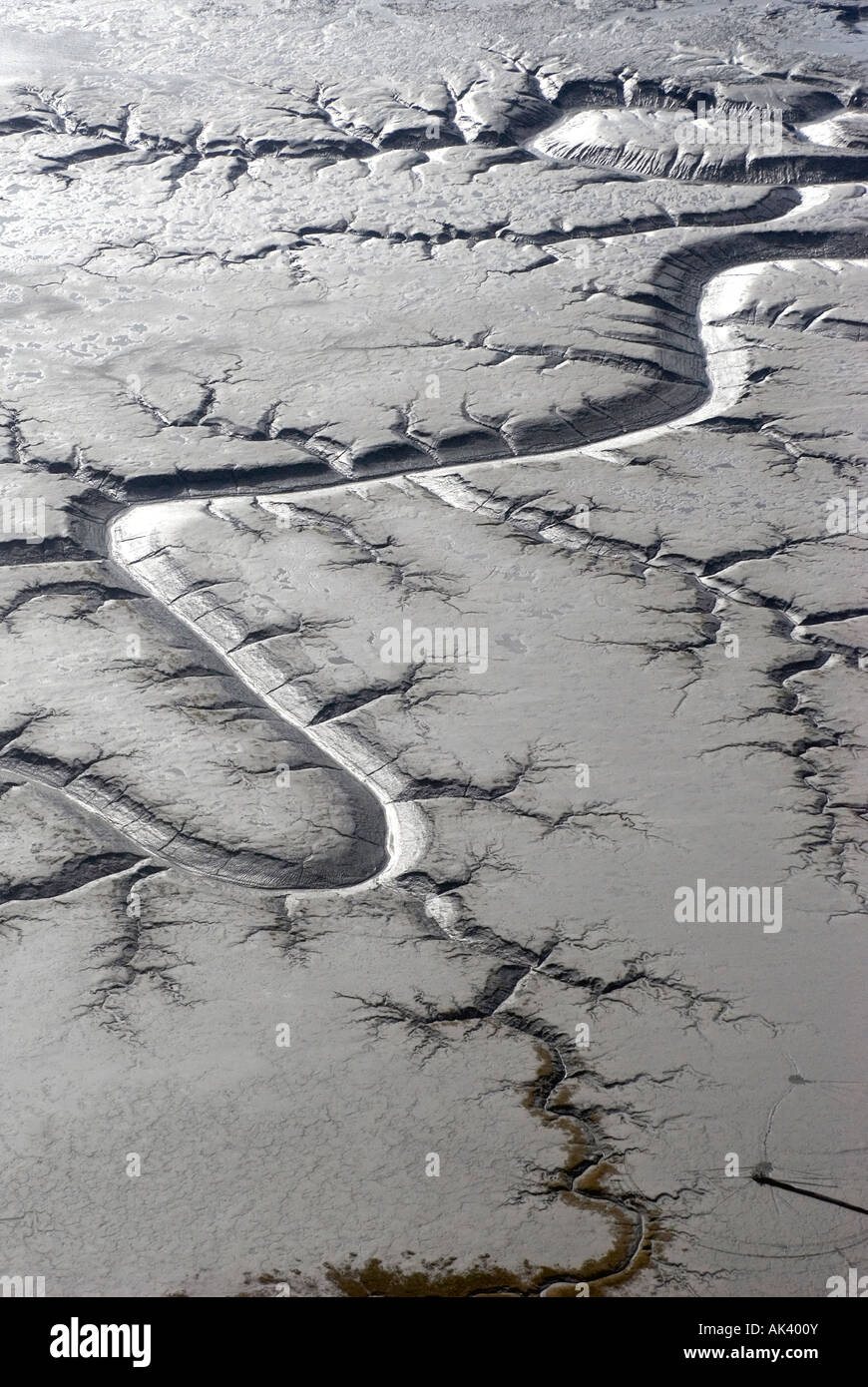 River patterns are seen from above in the Cook Inlet tidal mud flats ...