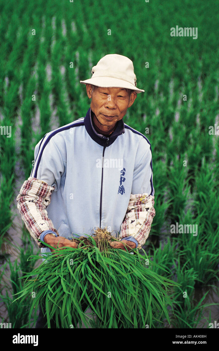 Taiwan, Taichung, Agriculture, Rice farmer Stock Photo - Alamy