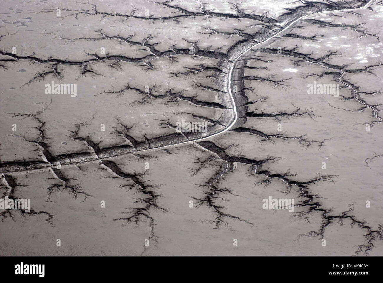 River patterns are seen from above in the Cook Inlet tidal mud flats ...