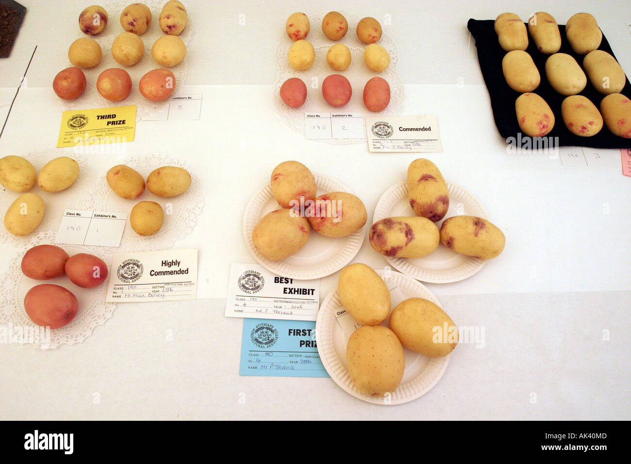 award winning potatoes at local show UK Stock Photo - Alamy
