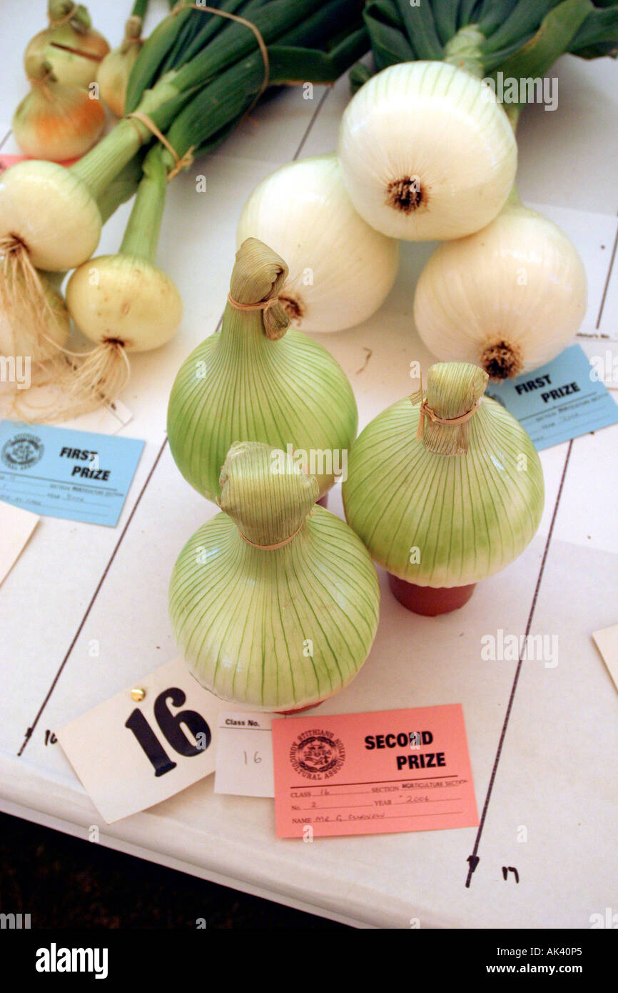 Regional horticultural show hi-res stock photography and images - Alamy