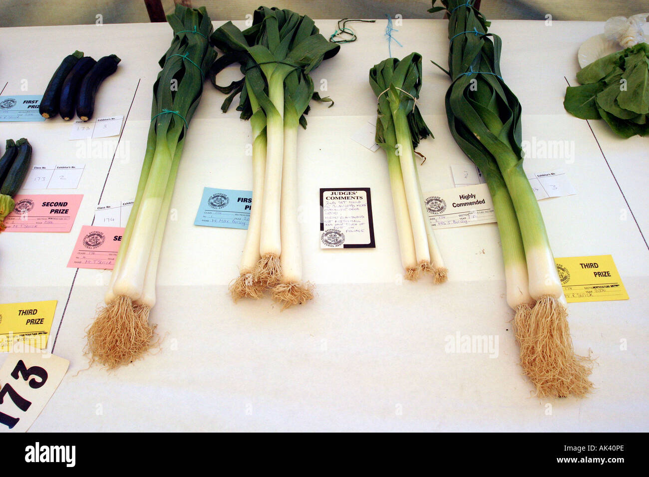 Prize winning leeks at local show UK Stock Photo - Alamy