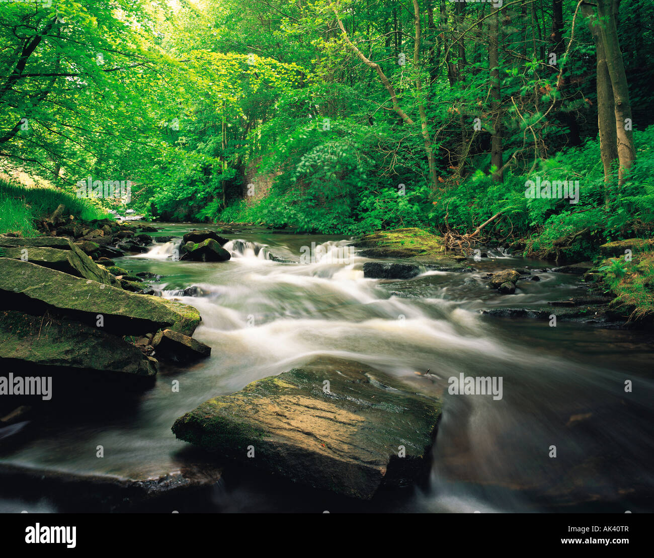 Dane river hi-res stock photography and images - Alamy