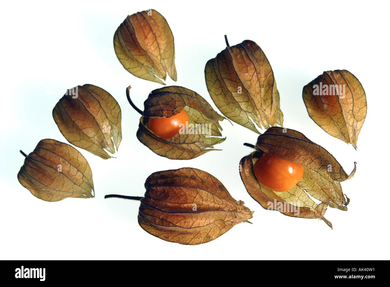 Chinese or Cape Gooseberries Physalis Fruit Stock Photo - Alamy
