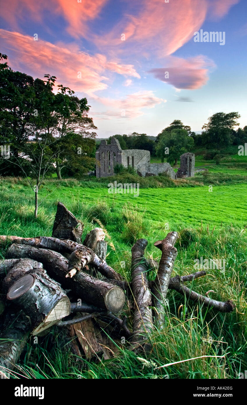 Inch abbey ruins hi-res stock photography and images - Alamy