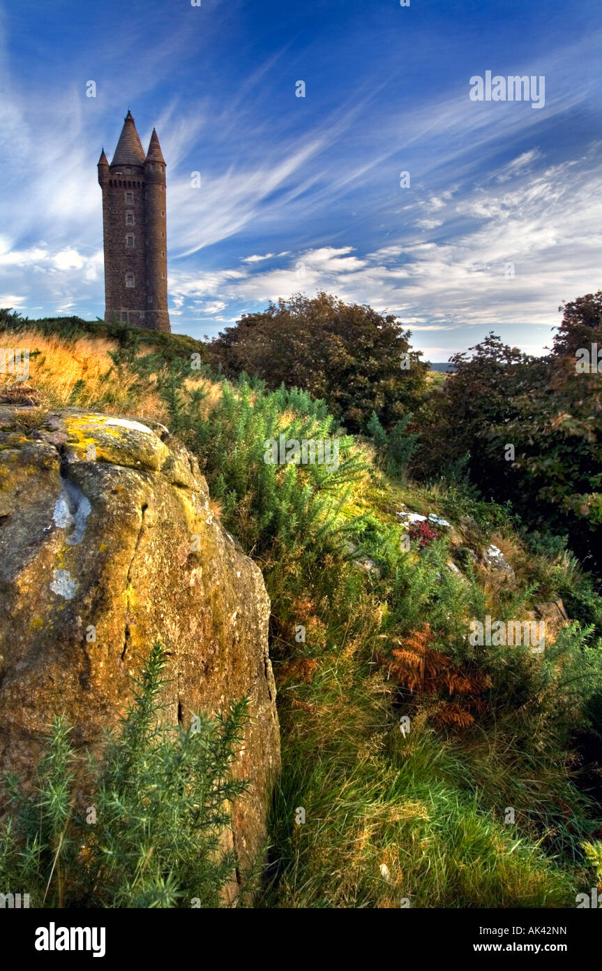 Scrabo co down hi-res stock photography and images - Alamy