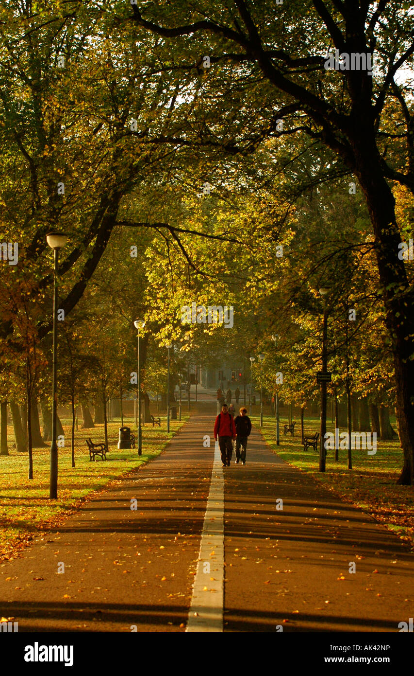 Middle Meadows Walk,Edinburgh,Scotland Stock Photo - Alamy