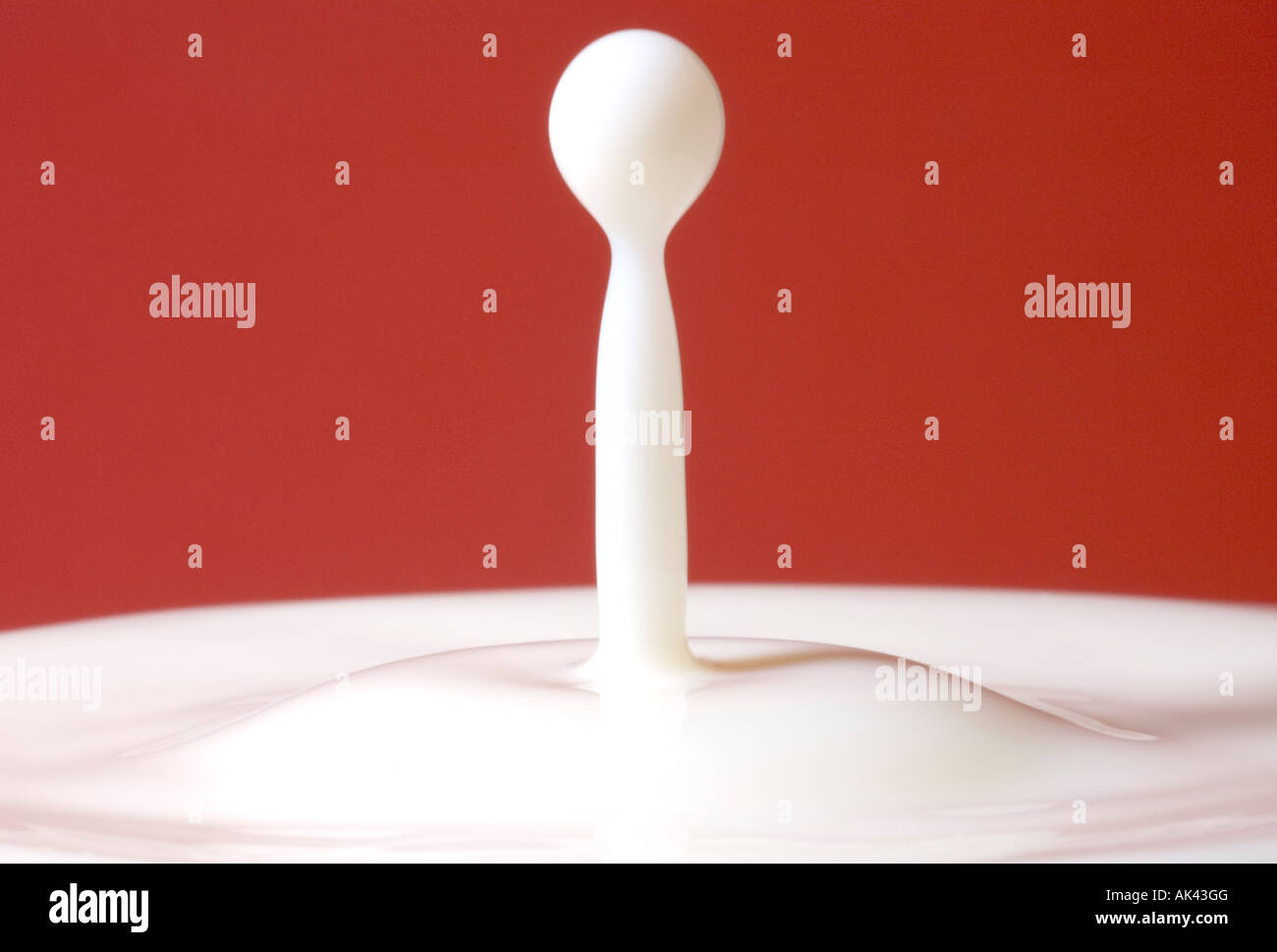 Droplet Of Milk At Lifesize Magnification Stock Photo - Alamy