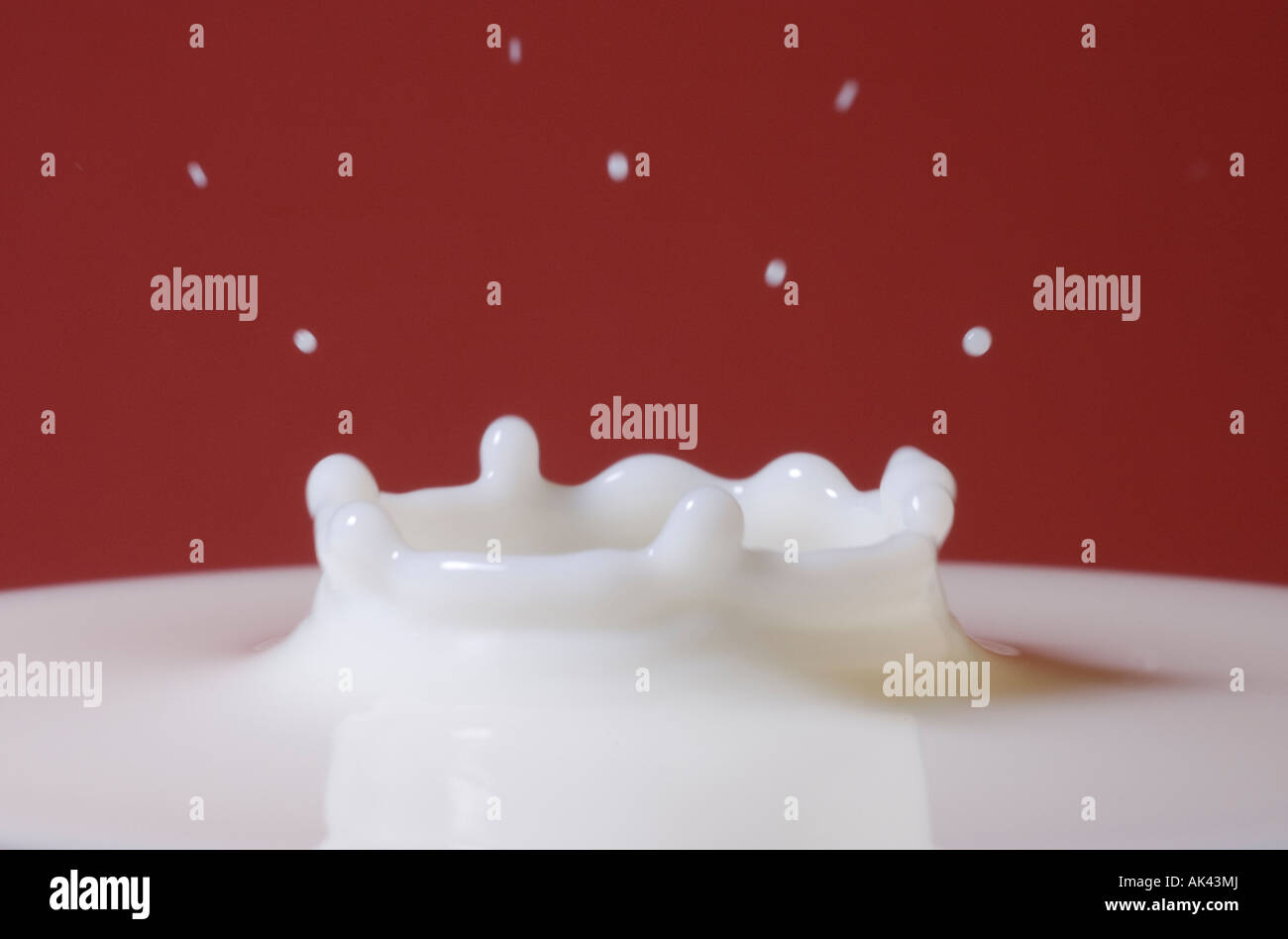 Droplet Of Milk At Lifesize Magnification Stock Photo - Alamy