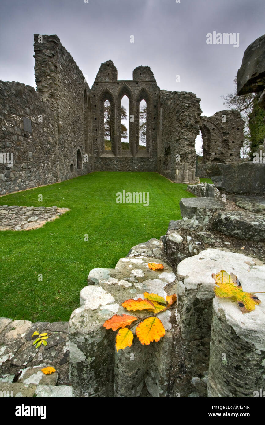 Inch abbey ruins hi-res stock photography and images - Alamy