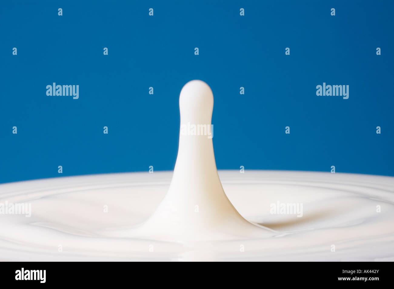 Droplet Of Milk At Lifesize Magnification Stock Photo - Alamy