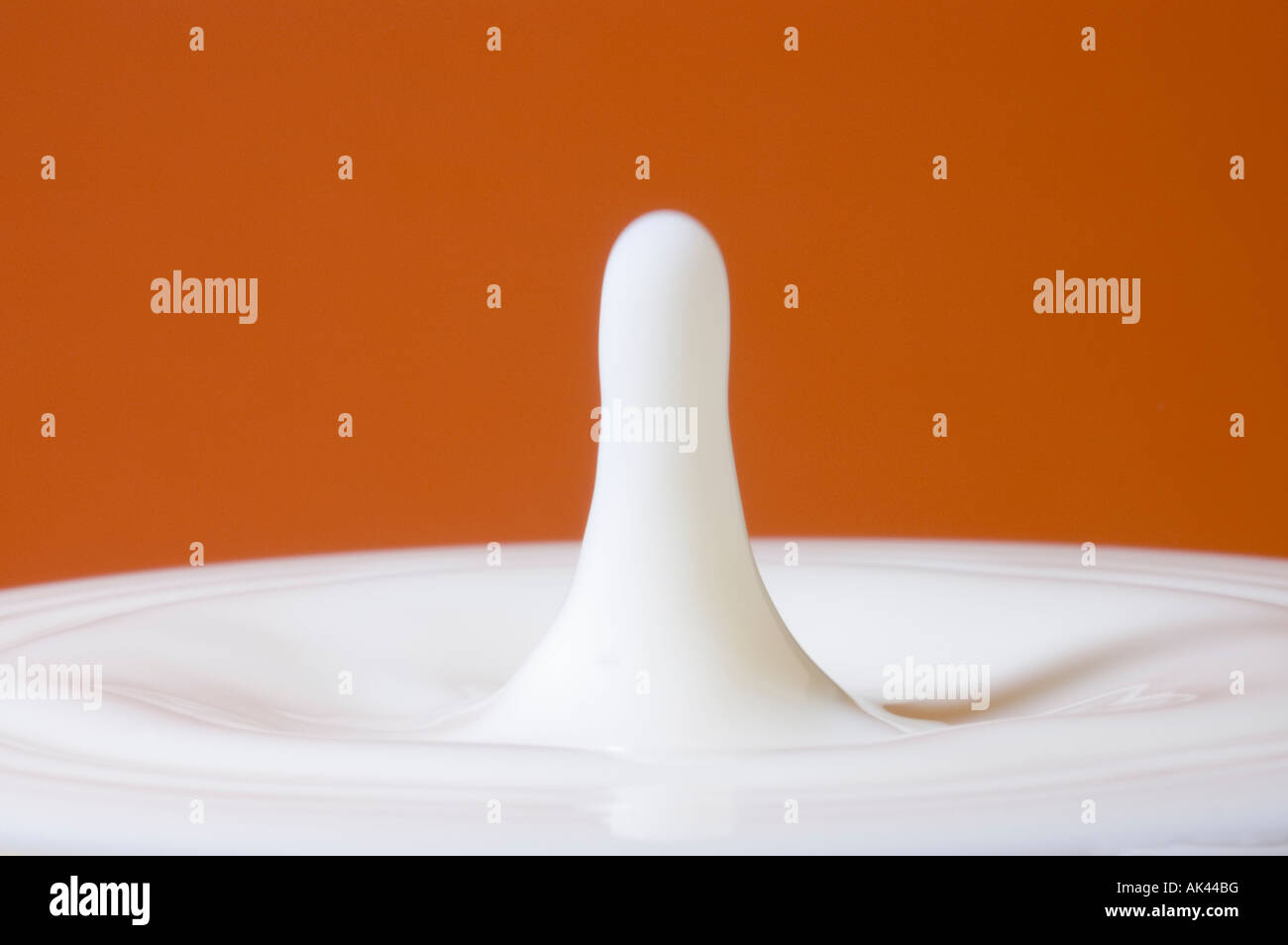 Droplet Of Milk At Lifesize Magnification Stock Photo - Alamy