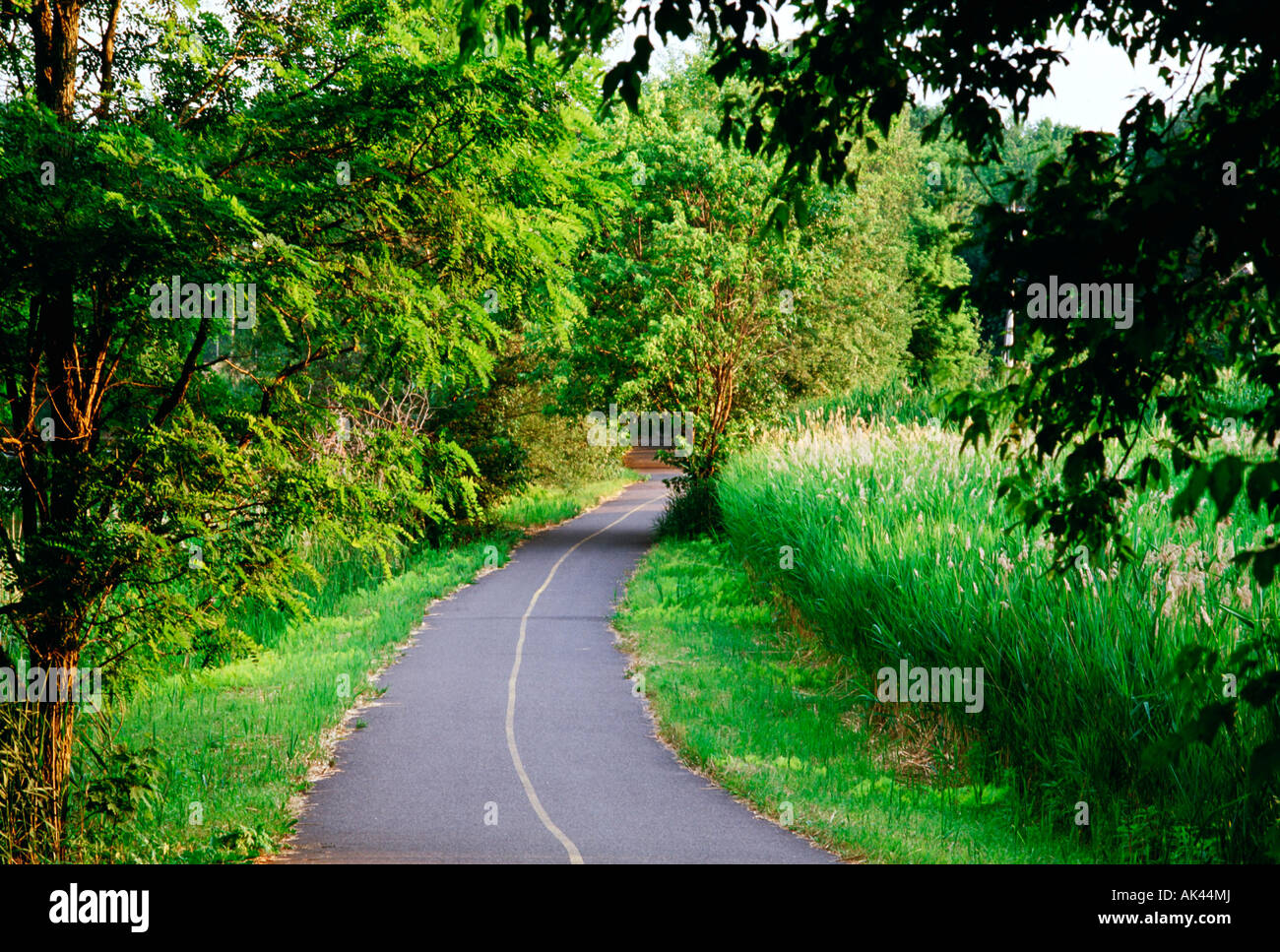 Pathway in a park Stock Photo - Alamy