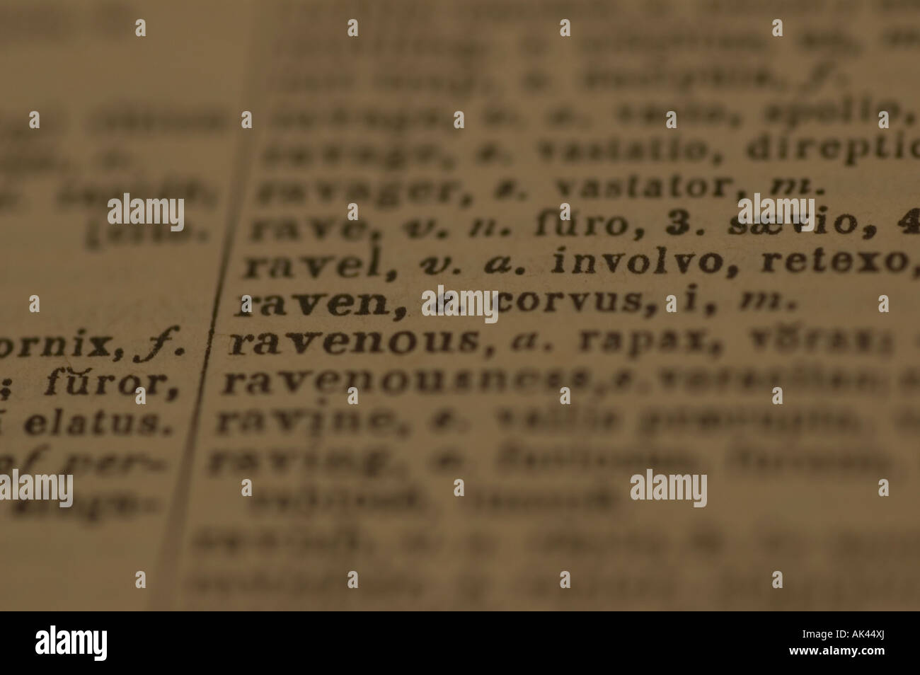 raven ravenous english latin dictionary Stock Photo - Alamy