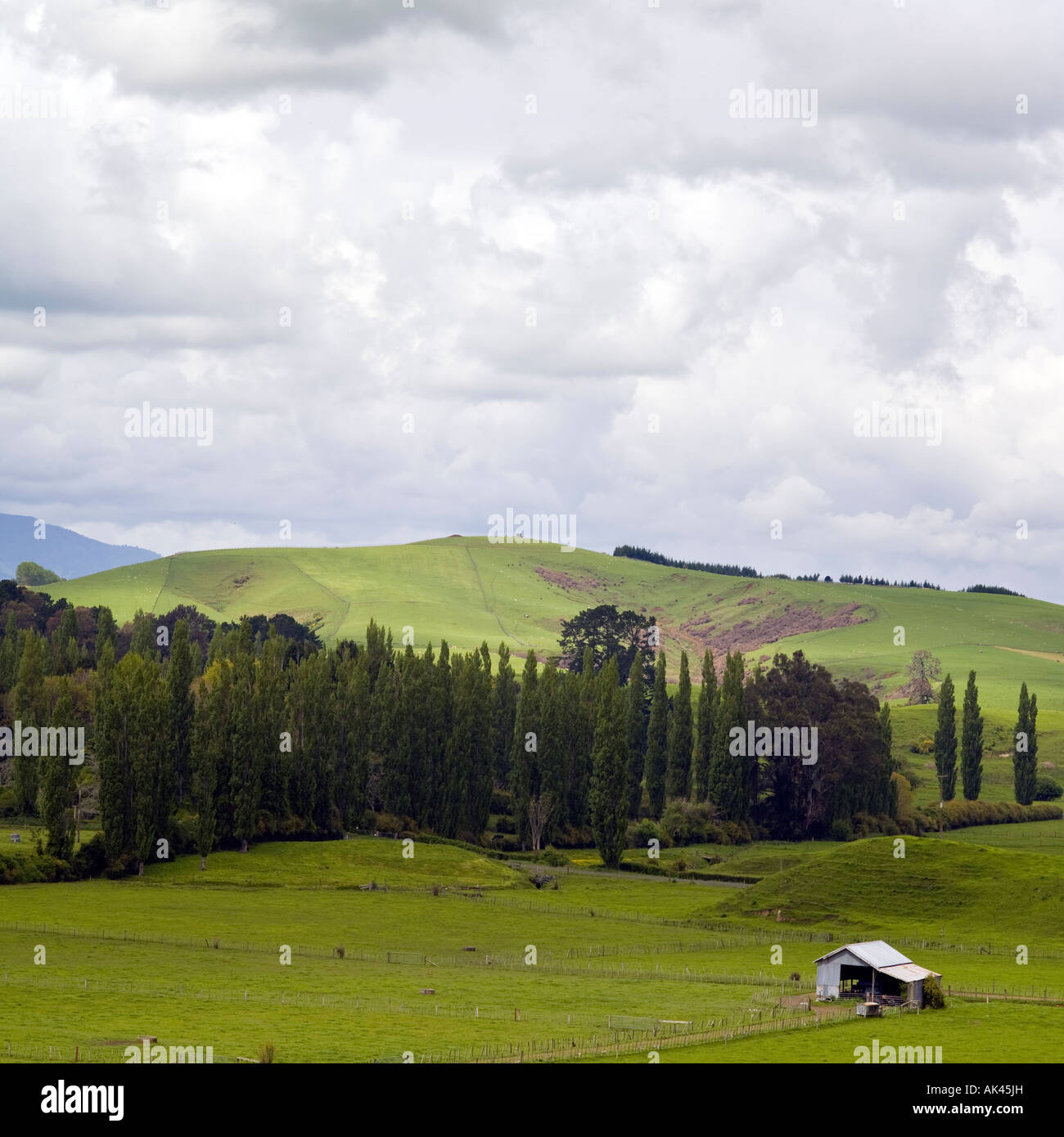 Barriers of sections hi-res stock photography and images - Alamy