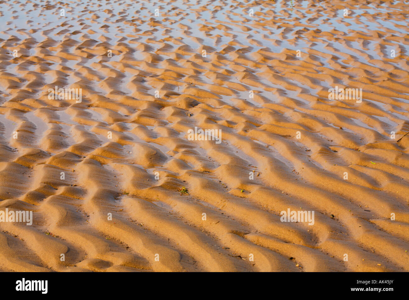 Ripples in the Sand Stock Photo - Alamy