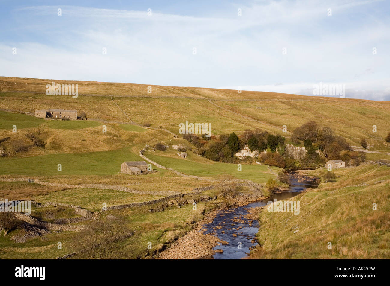 View to Birkdale Common with River Swale and upland hill farm in ...