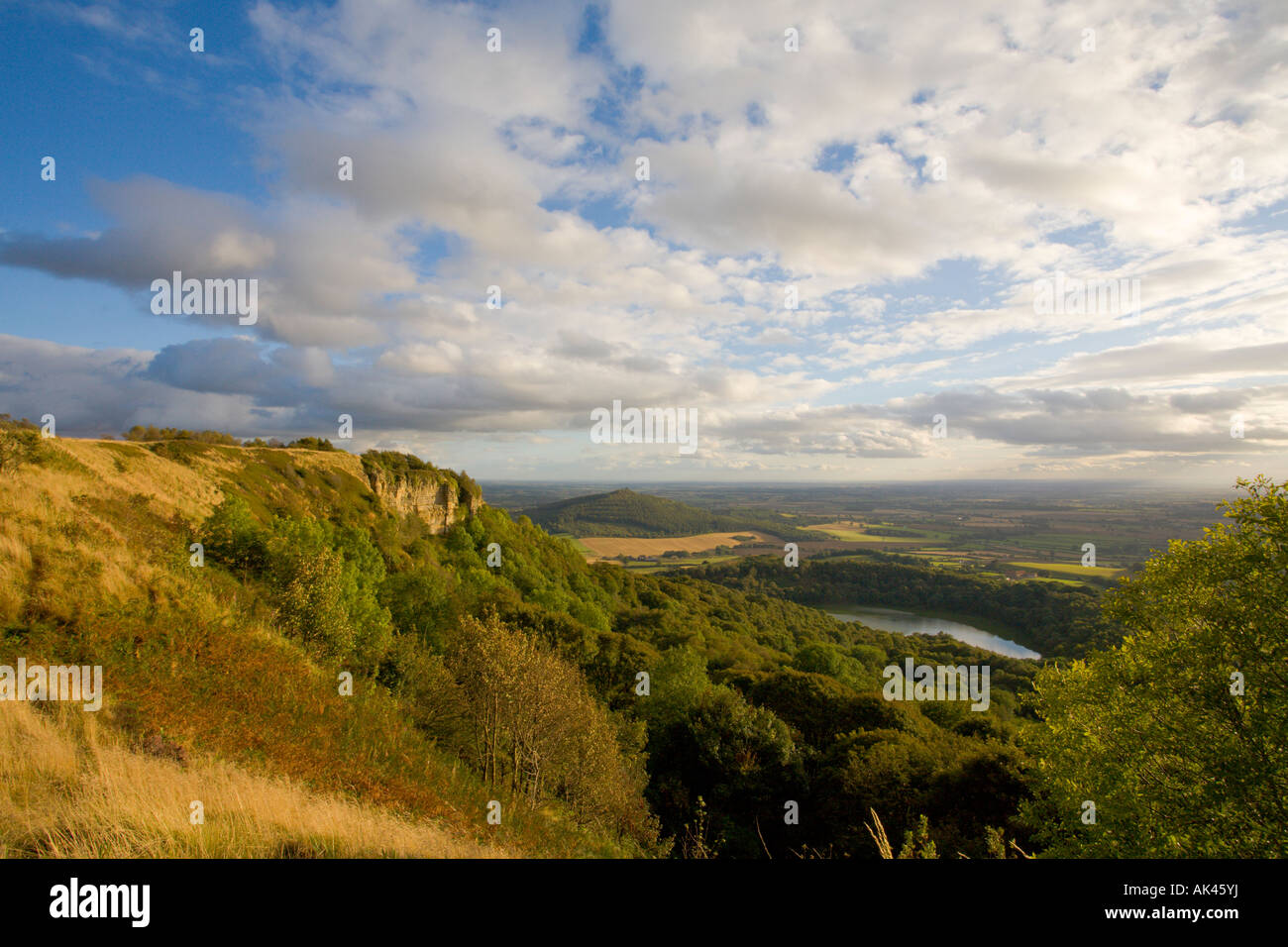 Sutton bank heather hi-res stock photography and images - Alamy
