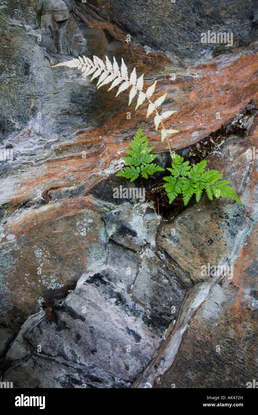 Cleft in rock hi-res stock photography and images - Alamy
